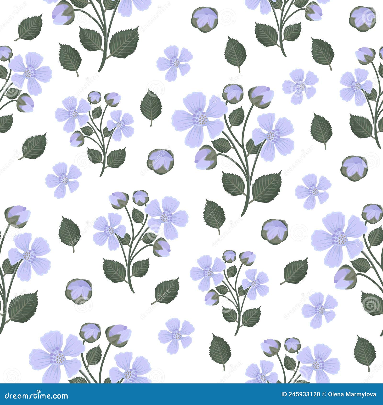 Blackberry Flowers, Seamless Pattern Stock Vector - Illustration of ...
