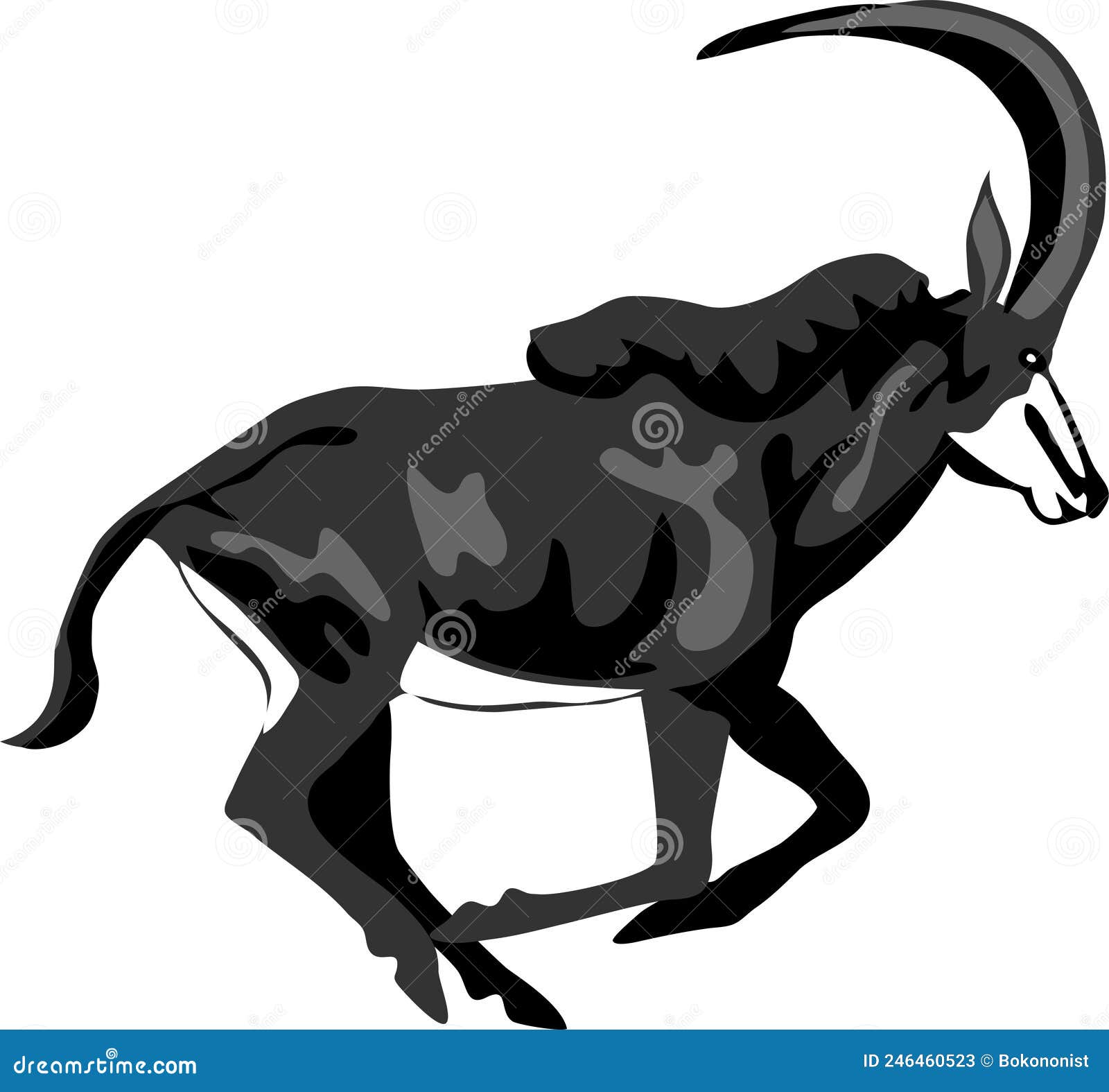 Sable Antelope Running