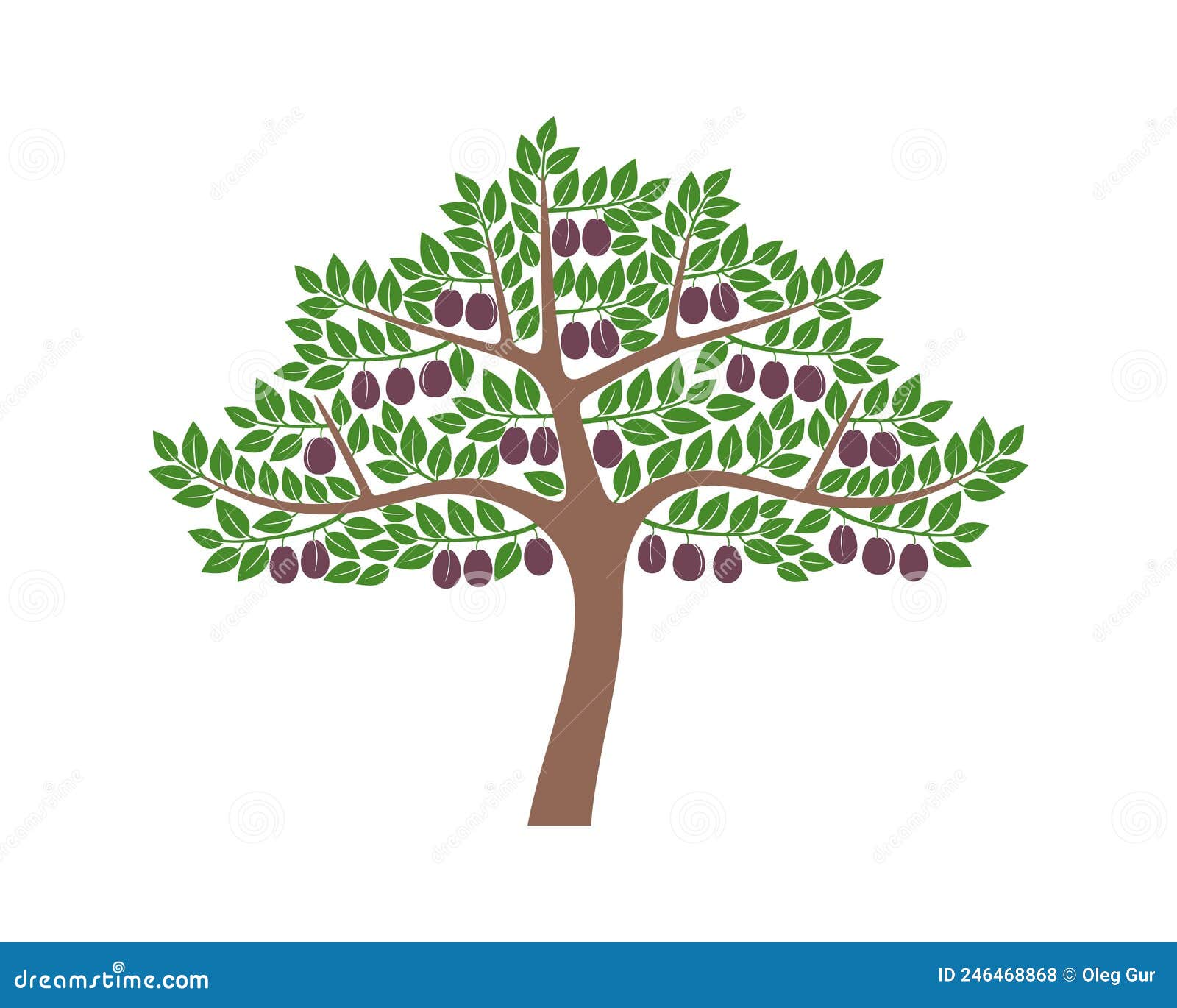 Plum Tree Logo. Isolated Plum Tree on White Background Stock Vector ...