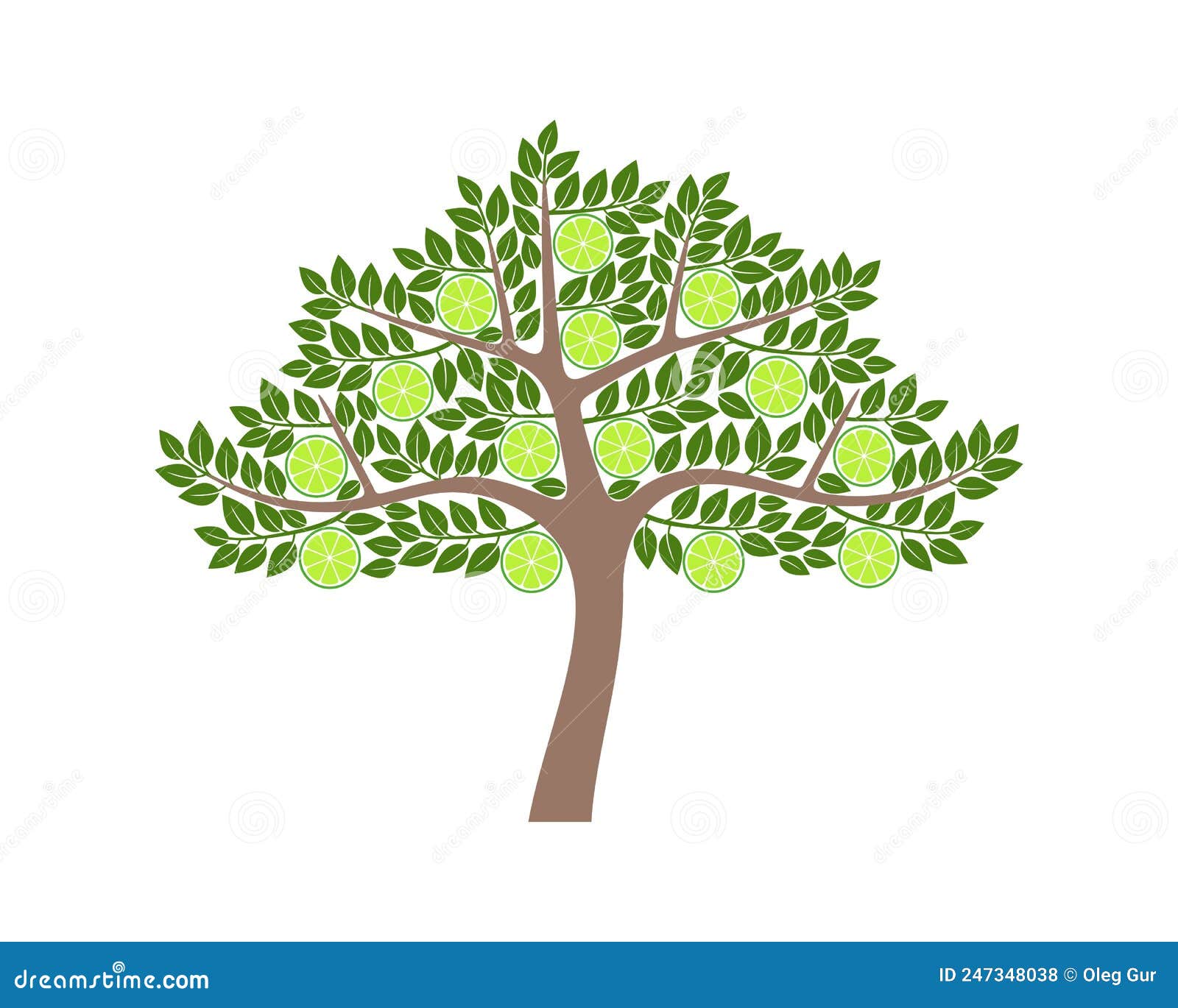 Lime Tree Logo. Isolated Lime Tree on White Background Stock Vector ...
