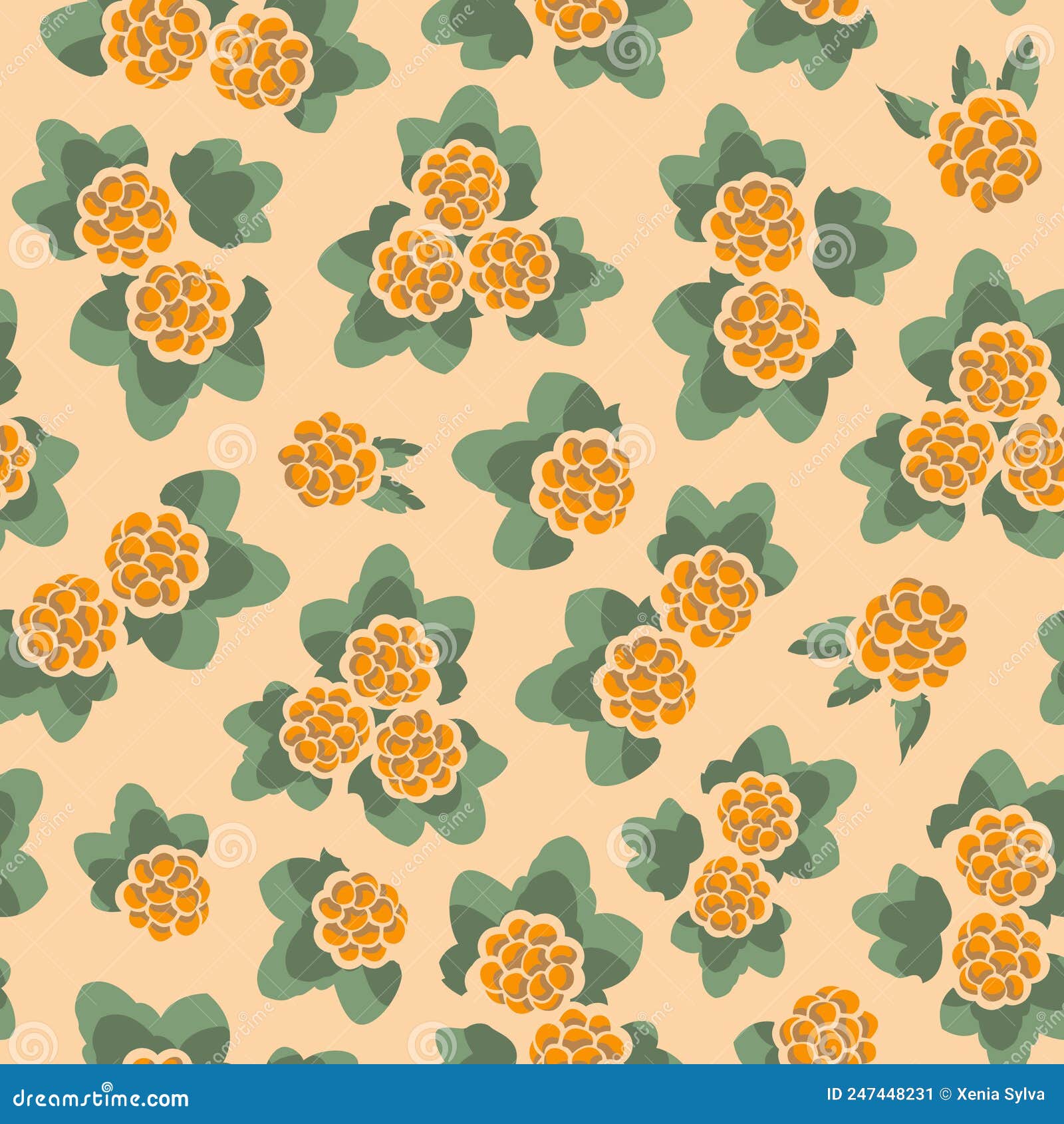 Ripe Cloudberry Health Benefits Infographics. Creeping Raspberry ...