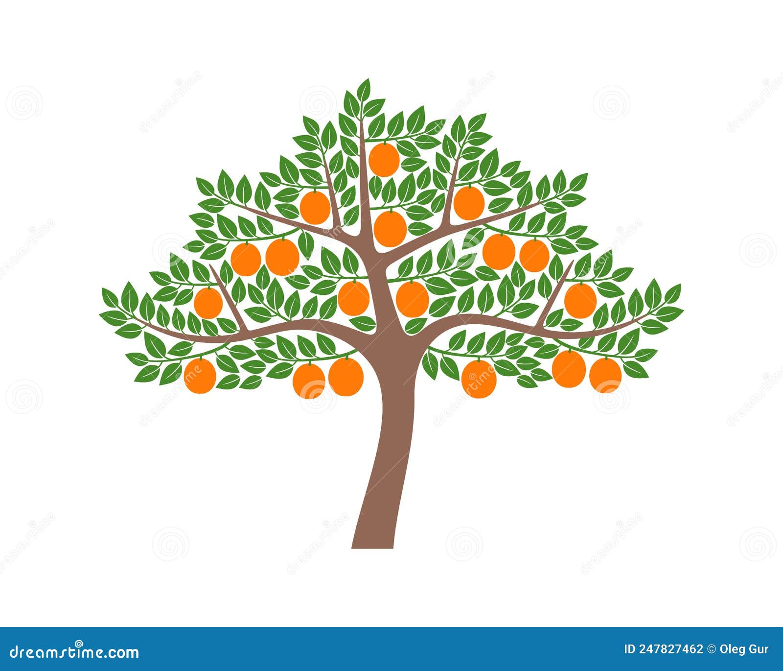Orange Tree Logo. Isolated Orange Tree on White Background Stock Vector ...