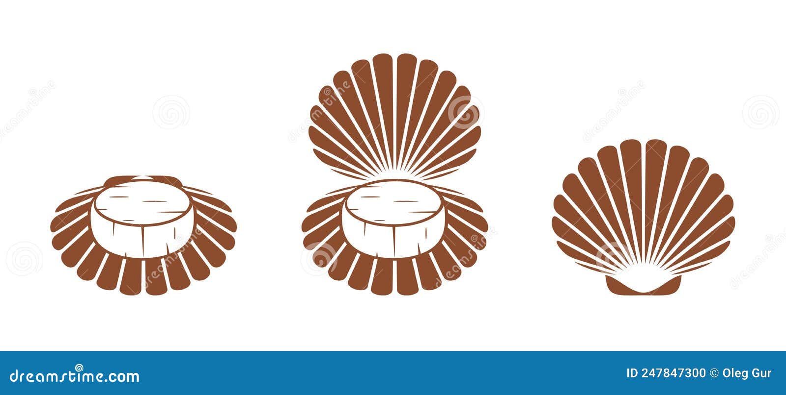 Scallop Logo. Isolated Scallop on White Background Stock Vector ...