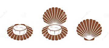 Scallop Logo. Isolated Scallop on White Background Stock Vector ...