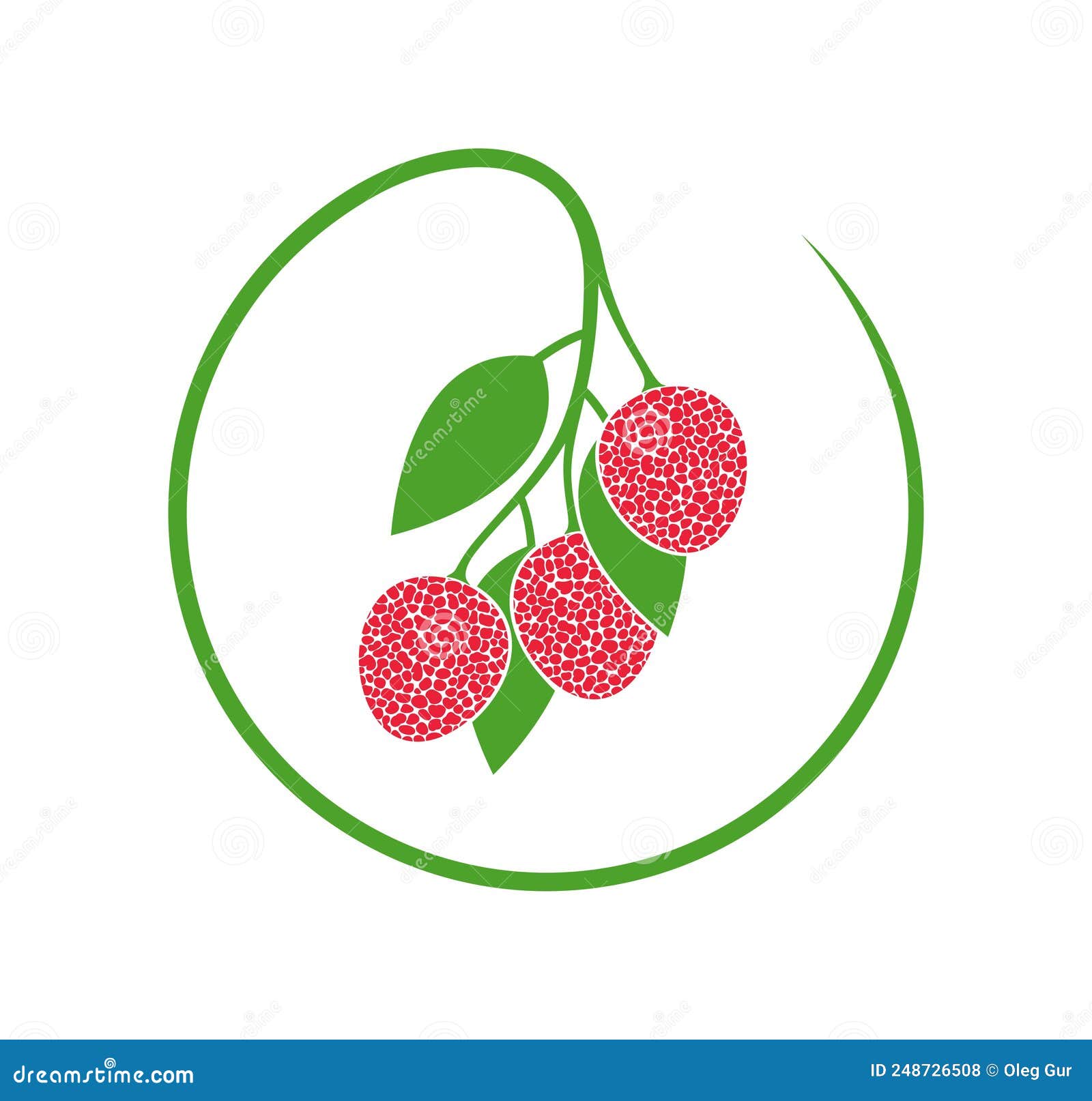 Lychee Logo. Isolated Lychee on White Background Stock Vector ...