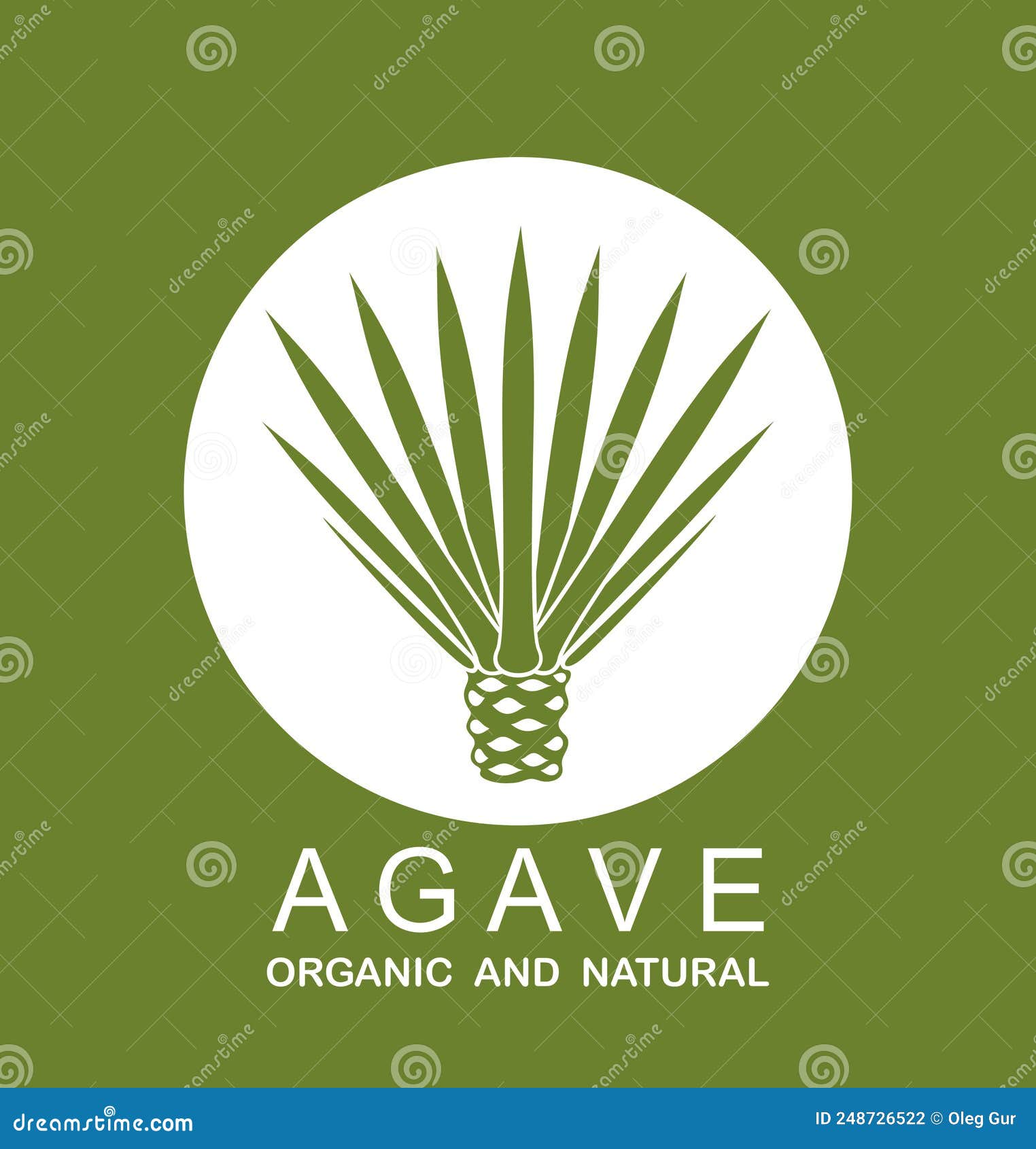 Blue Agave Logo. Isolated Agave on White Background Stock Vector - Illustration of abstract ...