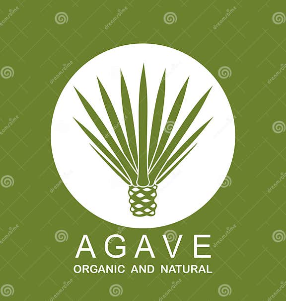 Blue Agave Logo. Isolated Agave on White Background Stock Vector ...