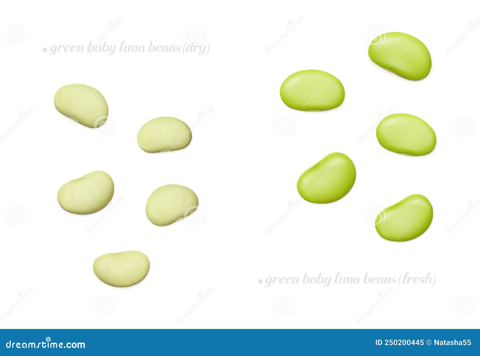Baby Beans Royalty-Free Stock Image | CartoonDealer.com #117190
