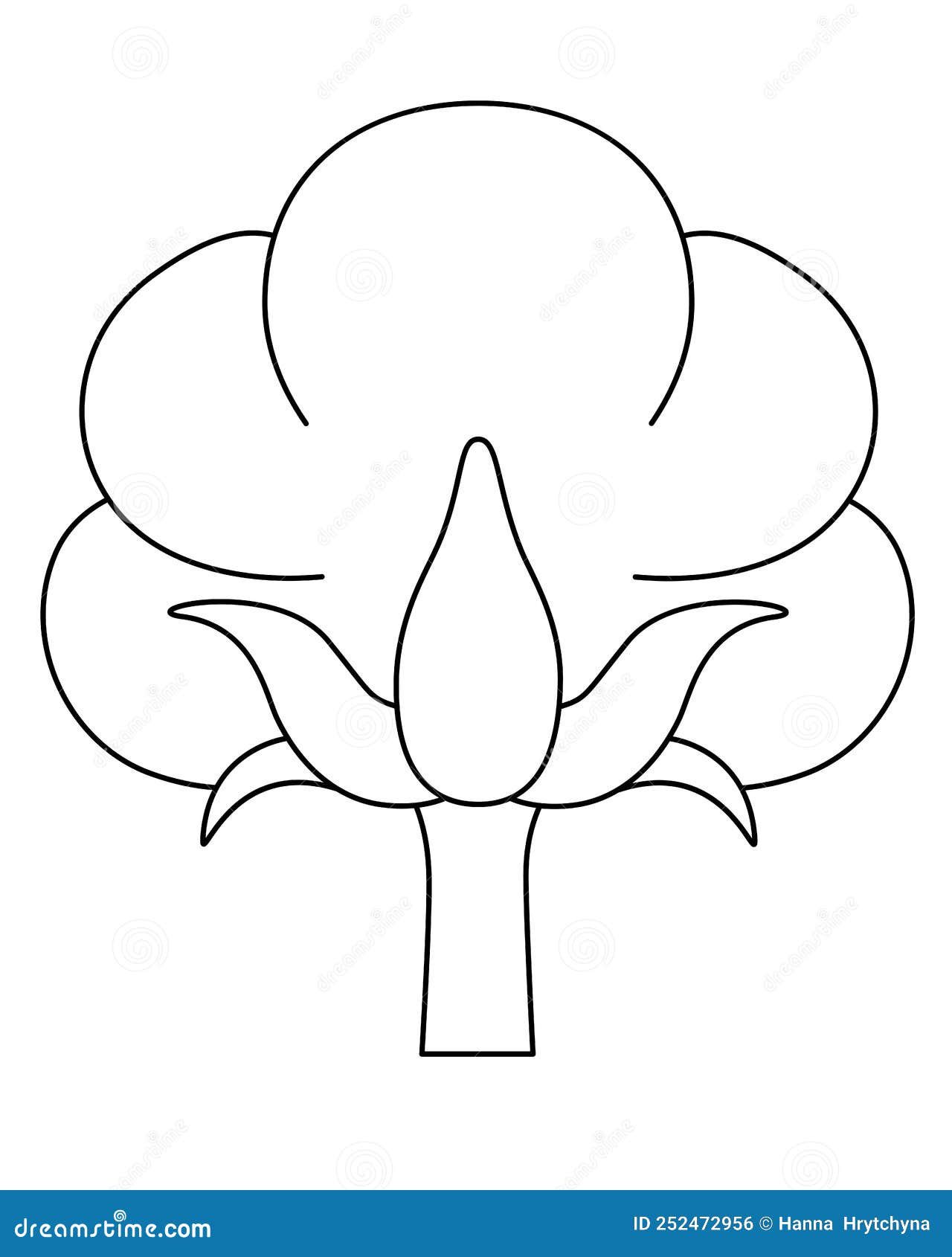 Ripe Cotton with Open Boll, Cotton Fluff - Vector Illustration for Logo ...