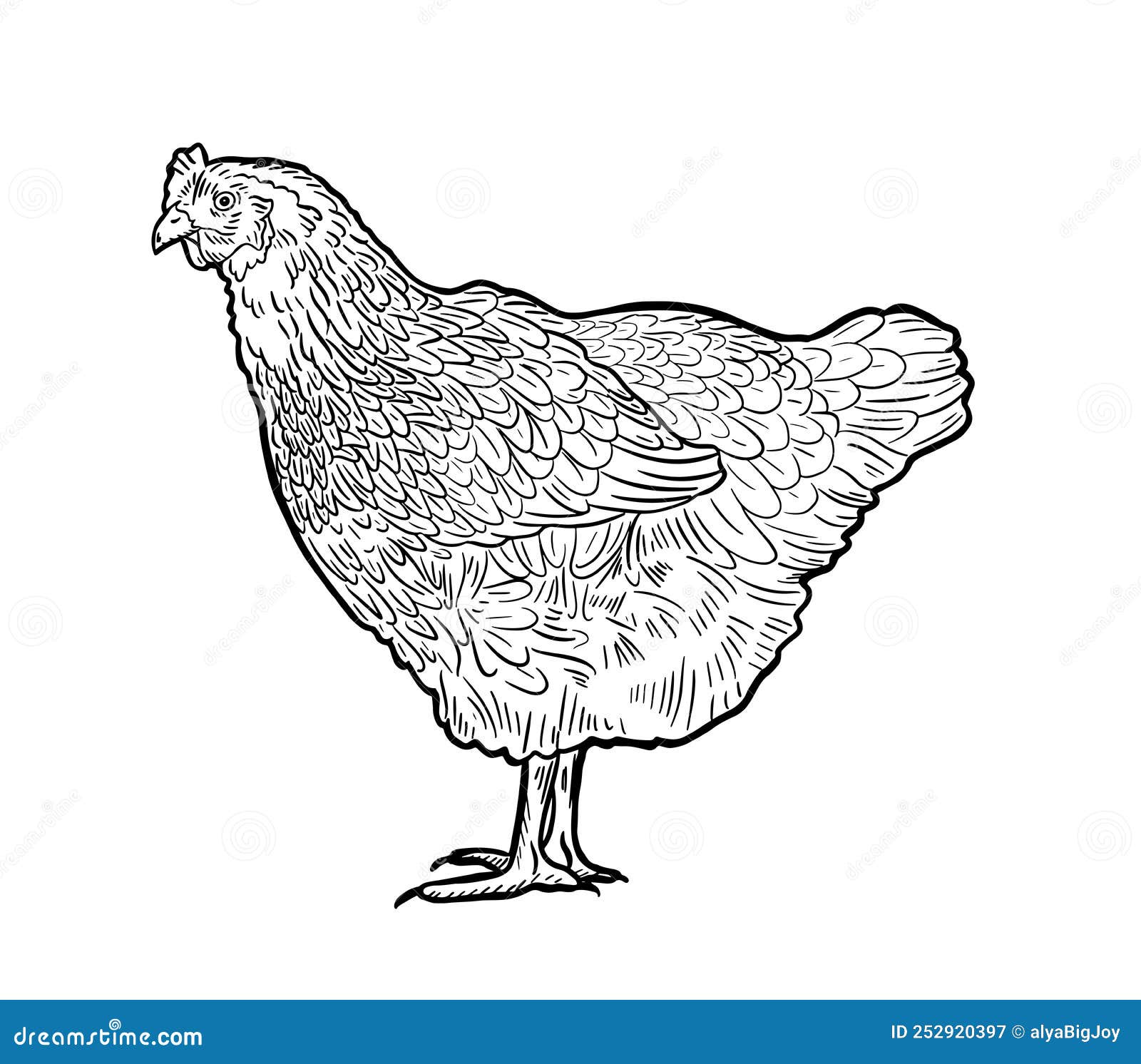 Handmade Chicken, Hen. Poultry, Broiler, Farm Animals. Stock ...