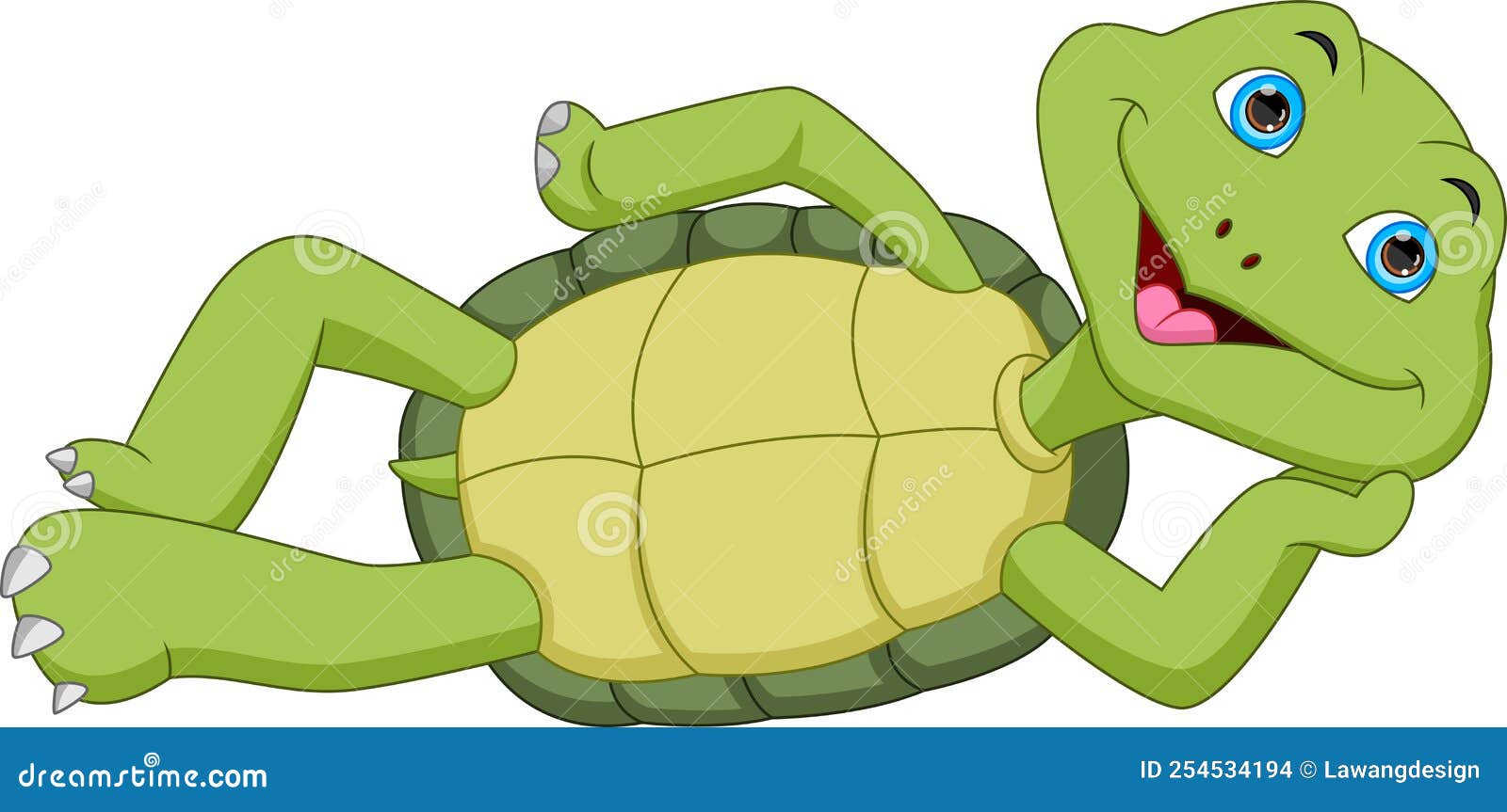 Funny Turtle Cartoon Isolated on White Background Stock Vector ...