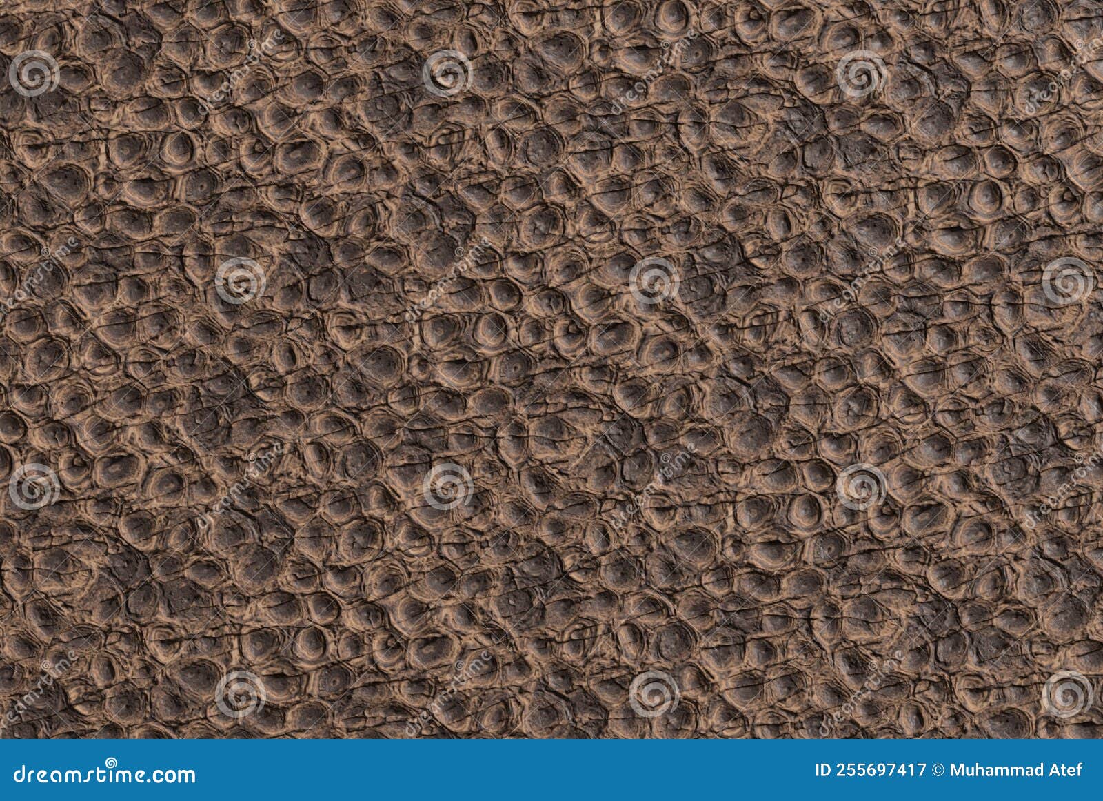 Clean and Realistic Crocodile Skin Texture Background Stock ...