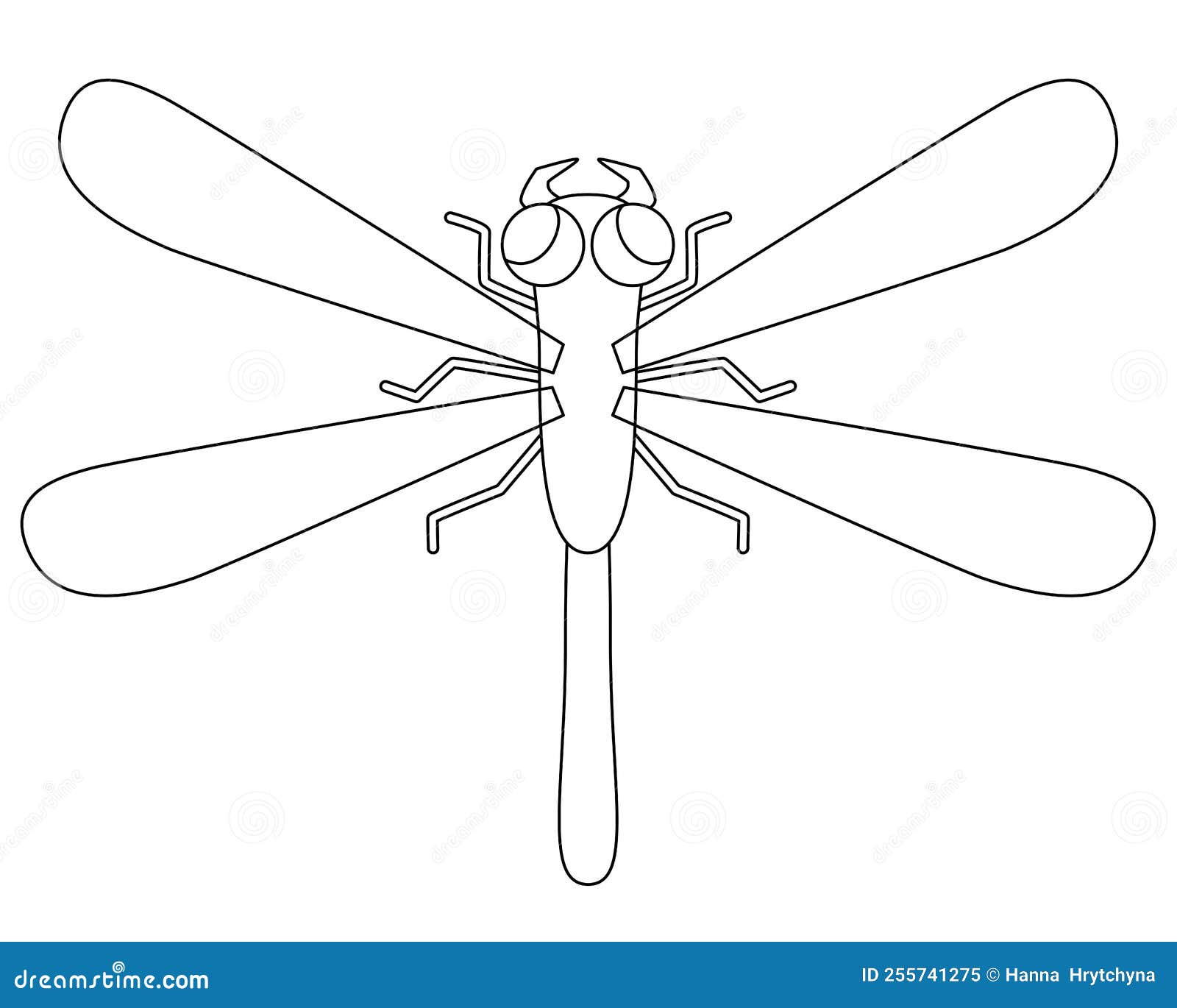 A Dragonfly, A Predatory Insect.Dragonfly Flying Invertebrate Insect ...