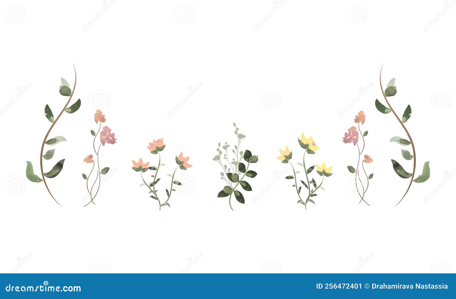 Flowers Collection. Floral Drawing Stock Vector - Illustration of ...