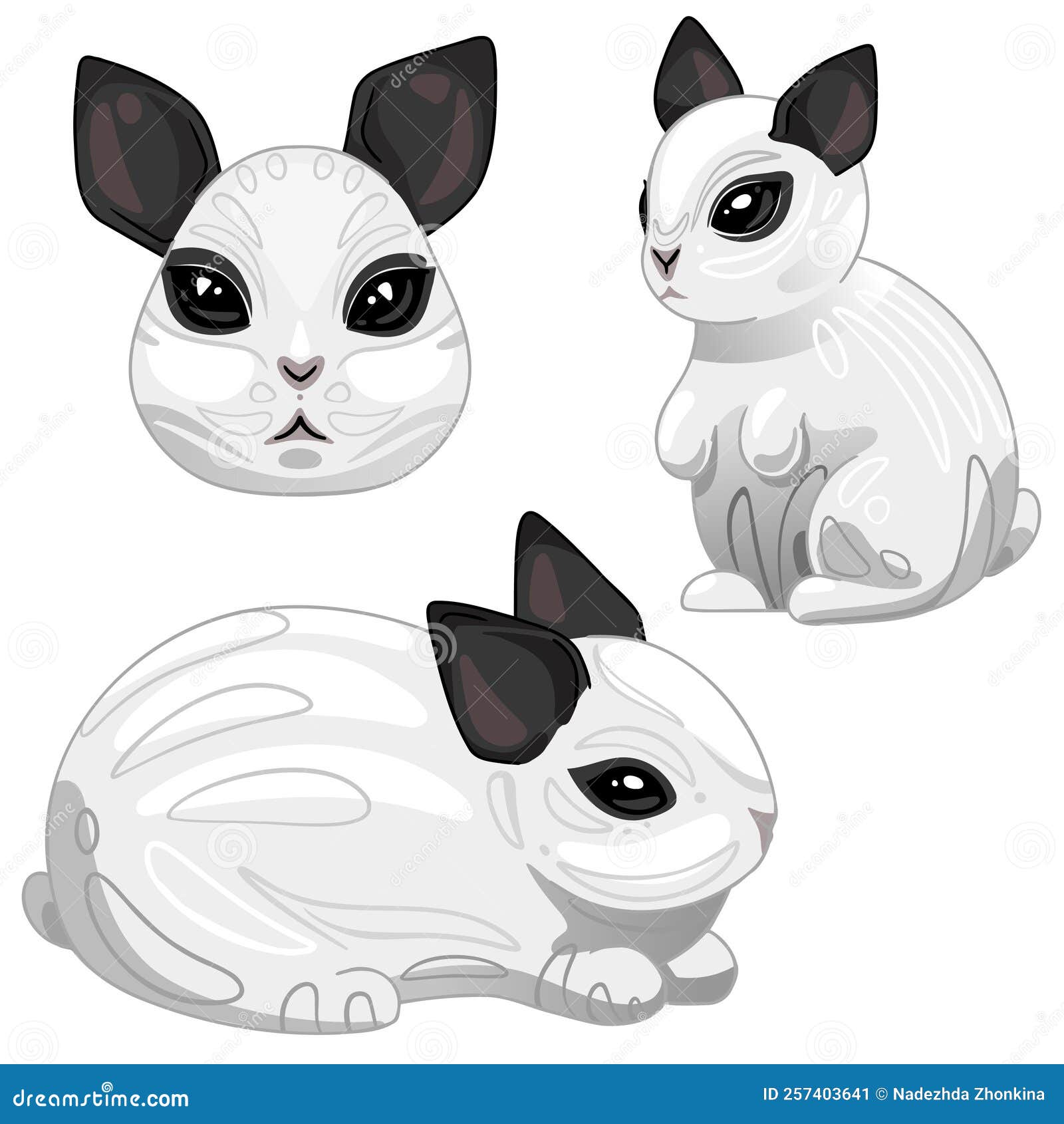 Rabbits Dwarf Hotot stock vector. Illustration of breed - 257403641