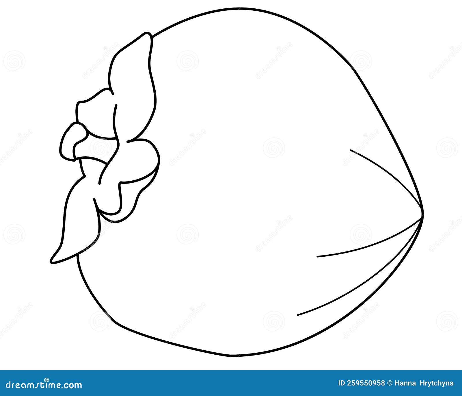 Persimmon, Sweet Tart Autumn Fruit with Stalk - Vector Linear Picture ...