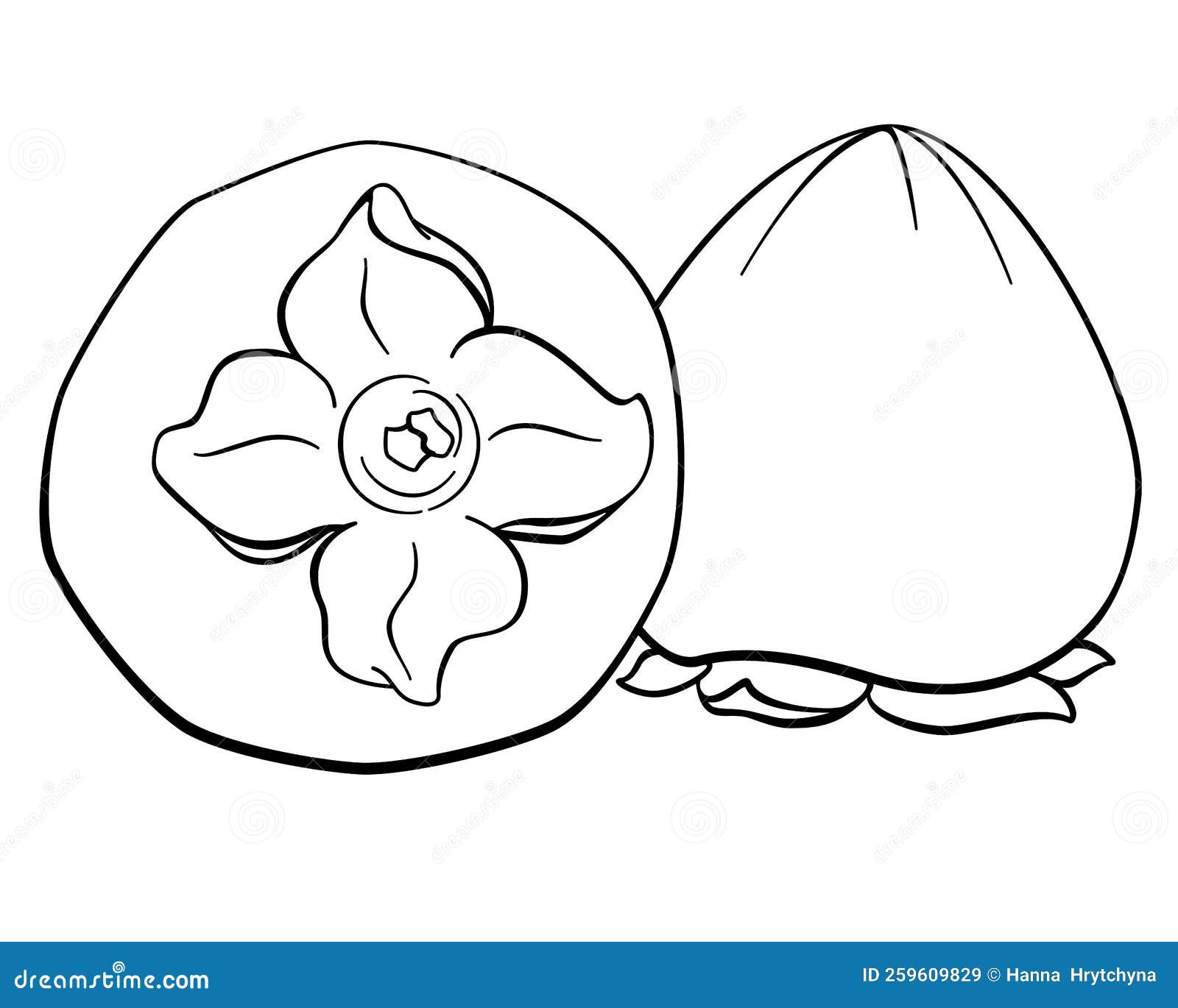 Persimmon, Two Juicy Sweet Fruits - Vector Linear Picture for Logo ...