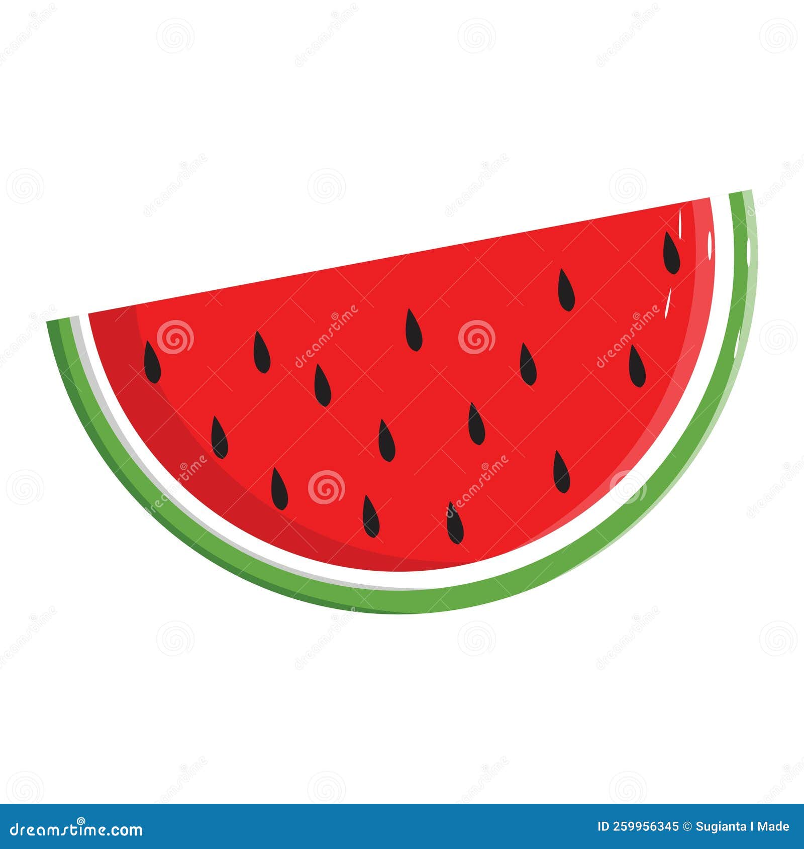 Color watermelon stock vector. Illustration of watermelon - 259956345