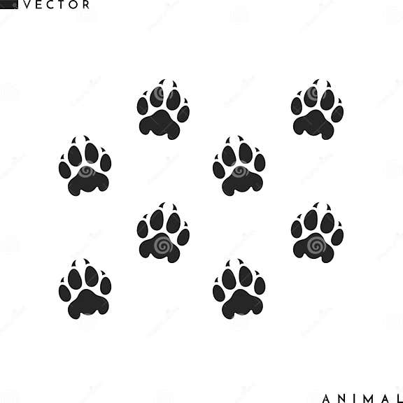 Panther Paw Prints. Wild Animal Stock Vector - Illustration of symbol ...