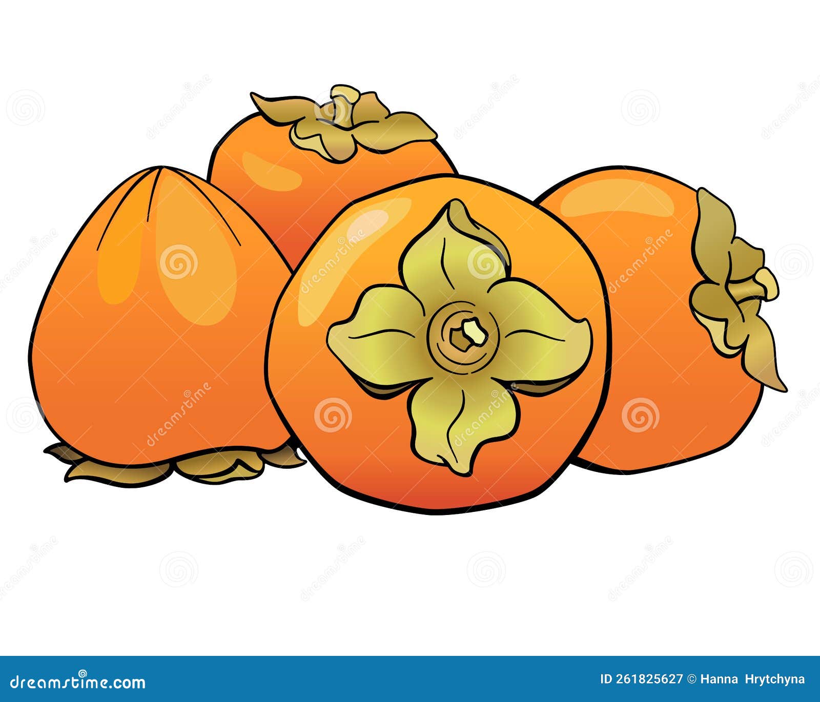 Persimmon, Sweet Autumn Fruits - Vector Color Picture for Logo or ...