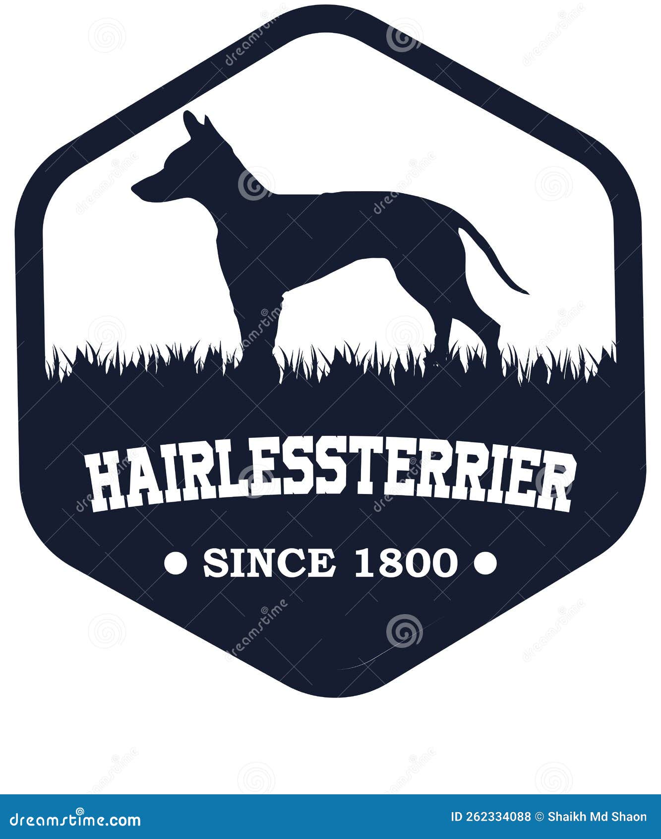 About Hairless Terrier Dog since 1800 White T-shirt Graphic Stock Photo ...