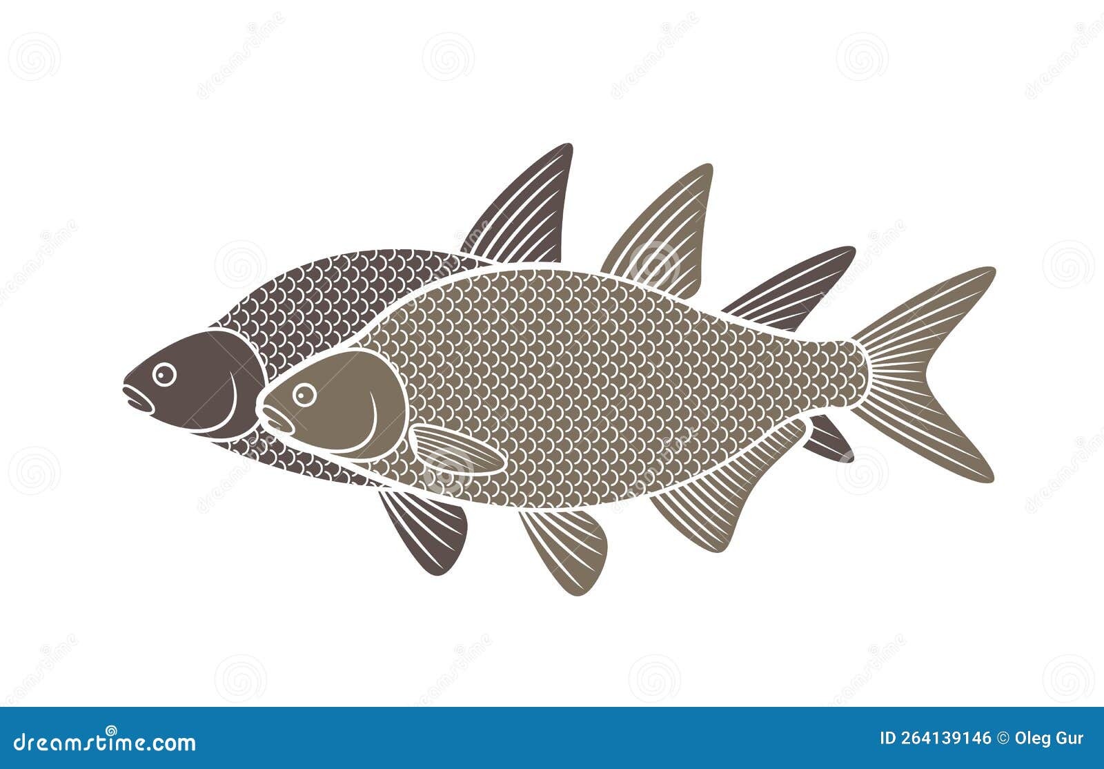 Bream Logo Cartoon Vector | CartoonDealer.com #103291175