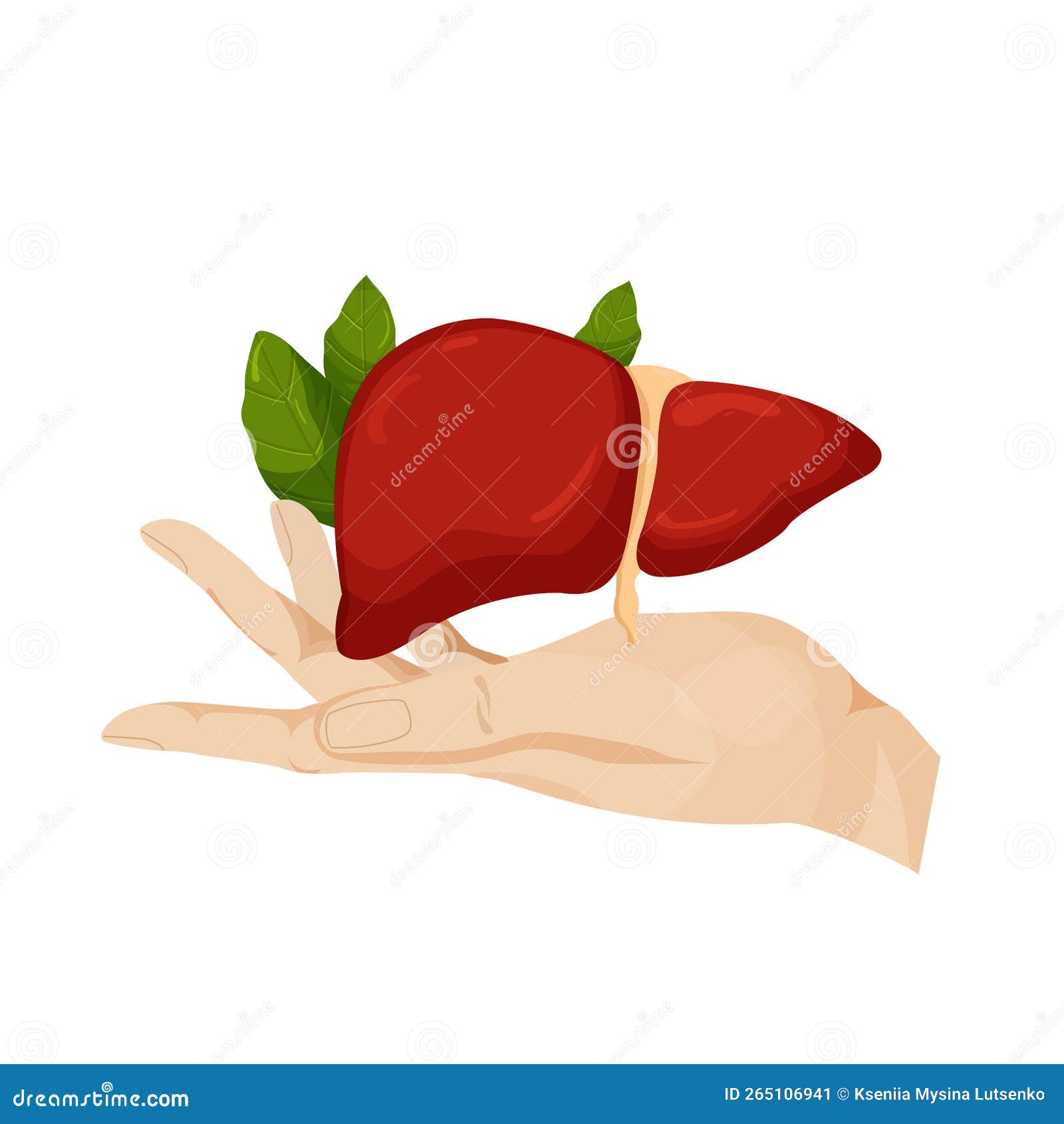 Healthy Liver. Vector Illustration. Picture for Liver Awareness Month ...