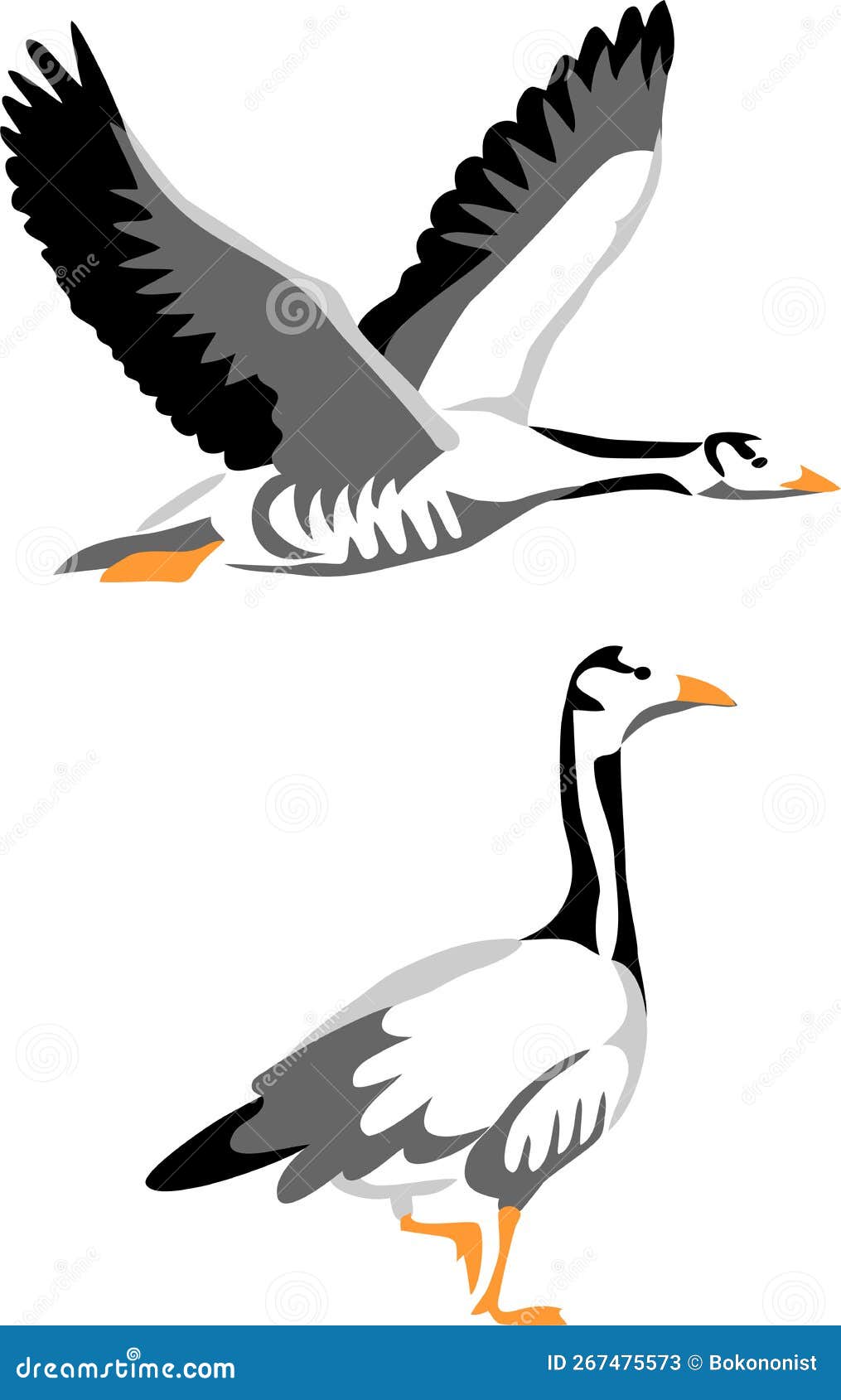 Bar-headed goose vector stock vector. Illustration of indian - 267475573