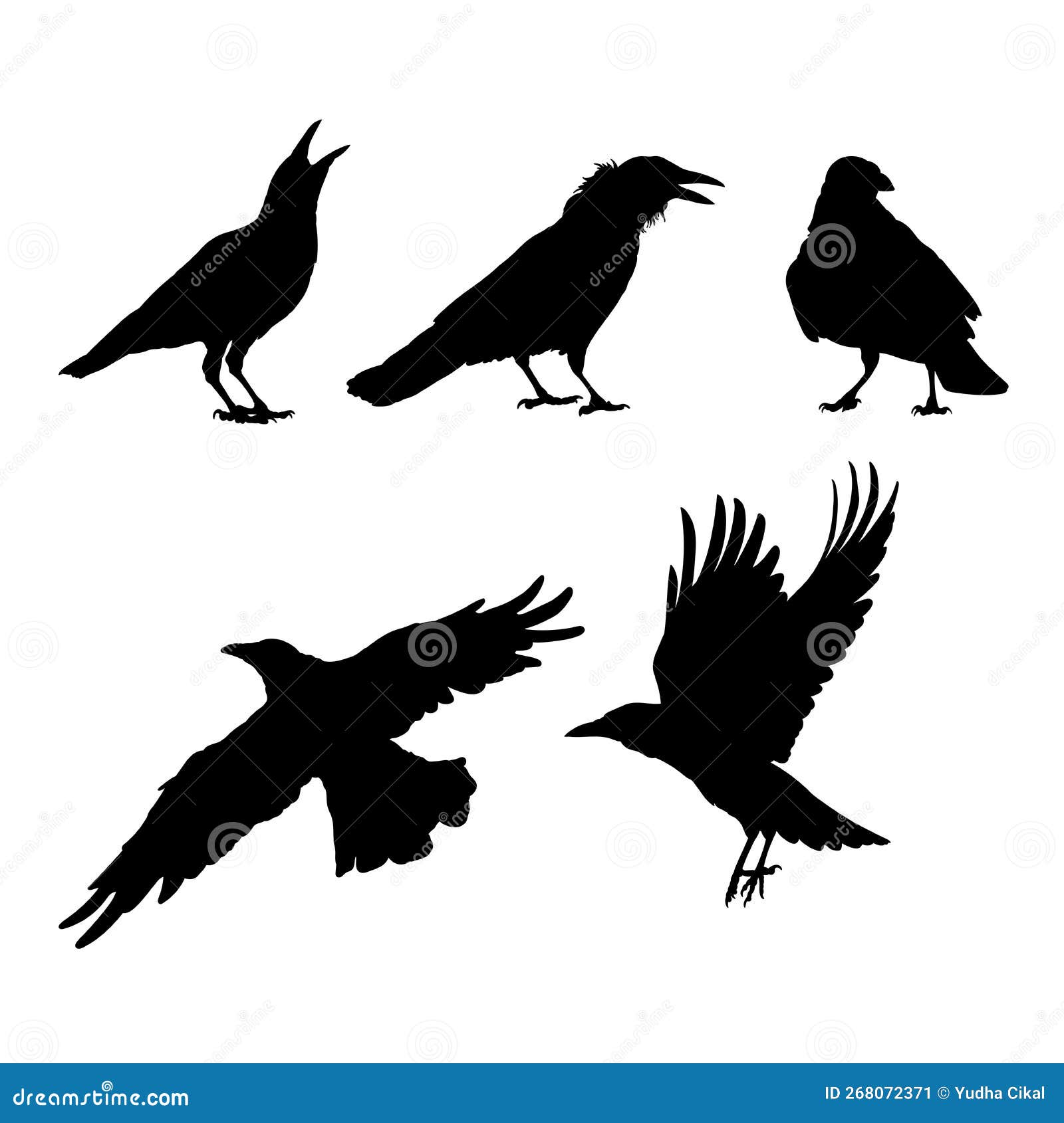 Set of Silhouettes of Black Crows Vector Design , White Isolated ...