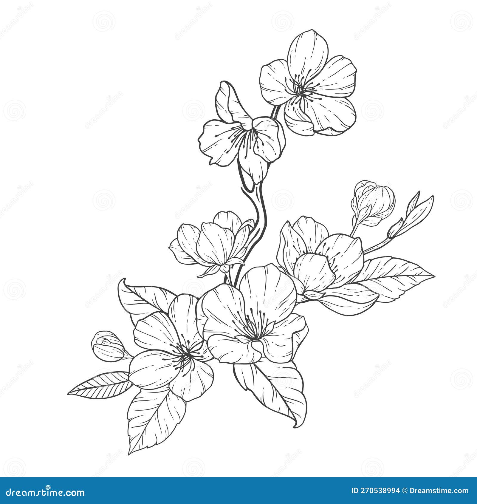 Floral Line Art, Sakura Flower Outline Illustration Set. Hand Painted ...