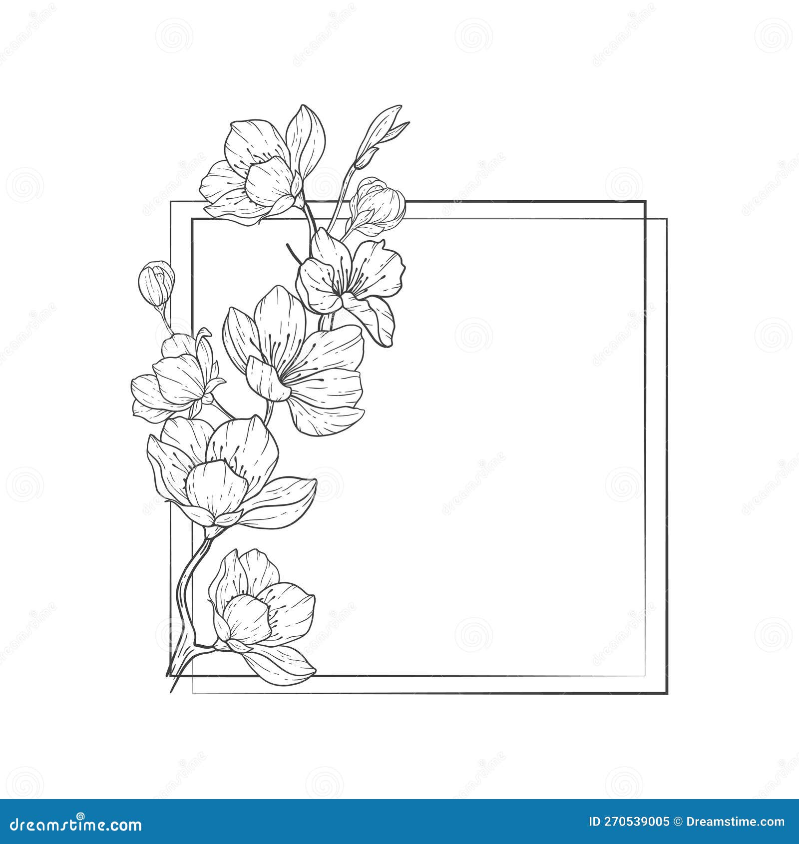 Floral Line Art Frame, Sakura Flower Outline Illustration Set. Hand ...