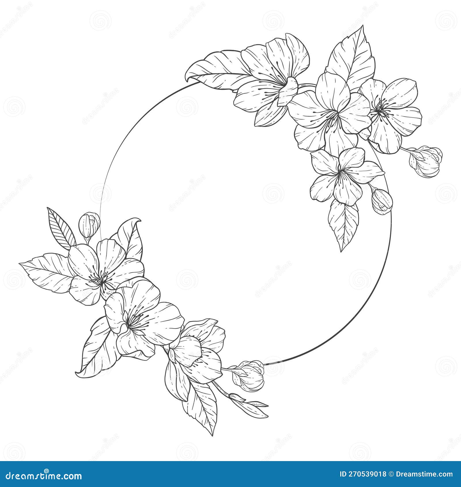 Floral Line Art Frame, Sakura Flower Outline Illustration Set. Hand ...