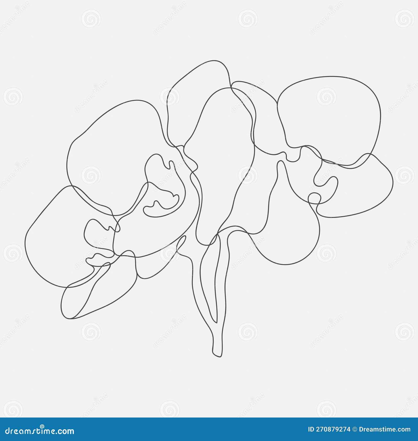 Orchid Flower Mono-line Drawing. Modern Hand-drawn Line-art Vector ...