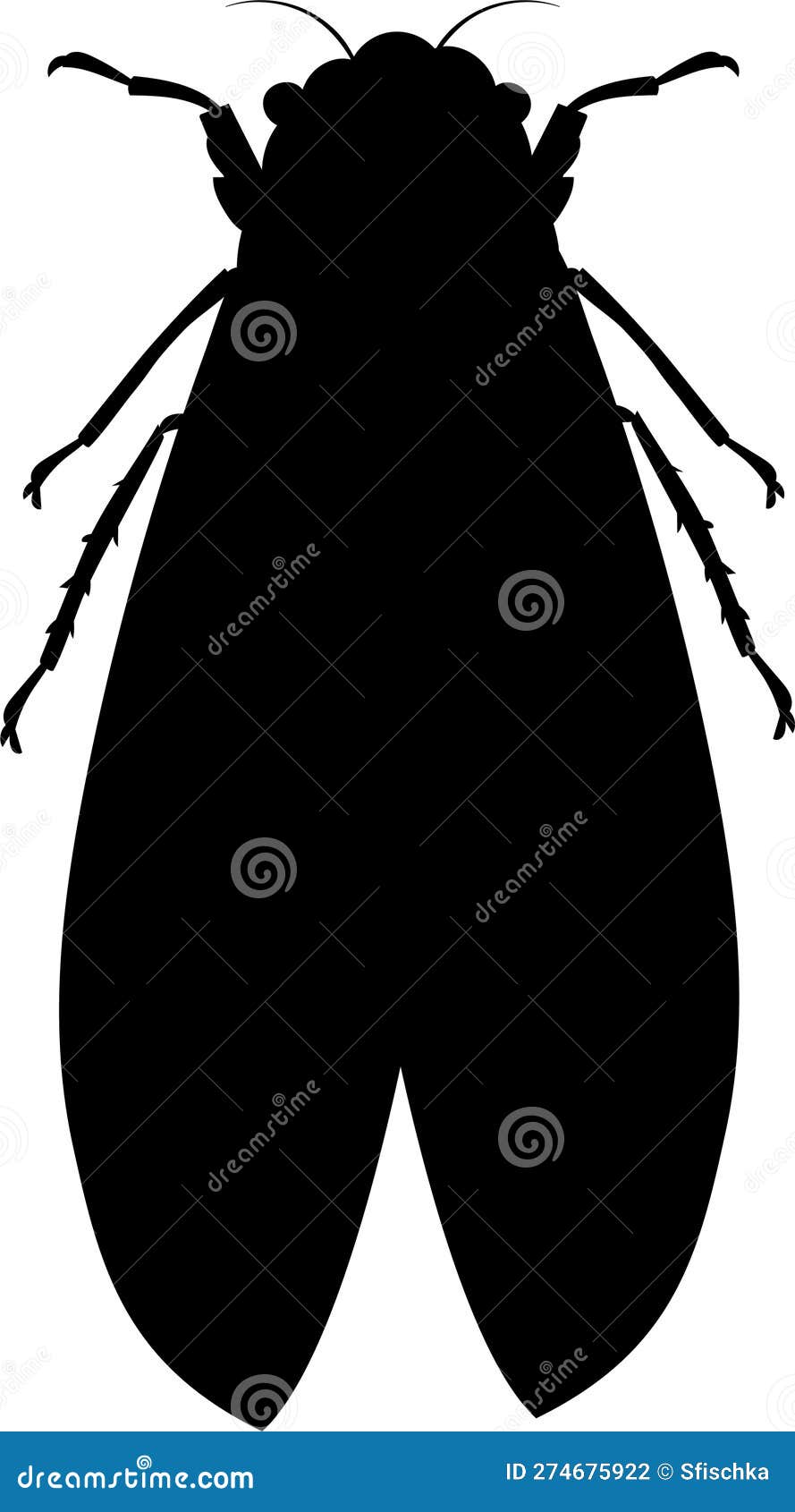 Cicada Vector Silhouette Black Stock Vector - Illustration of insect ...