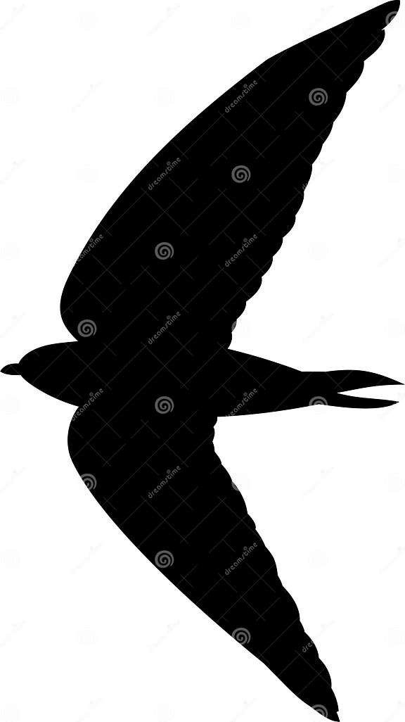 Swift Vector Silhouette Black Stock Vector - Illustration of black ...