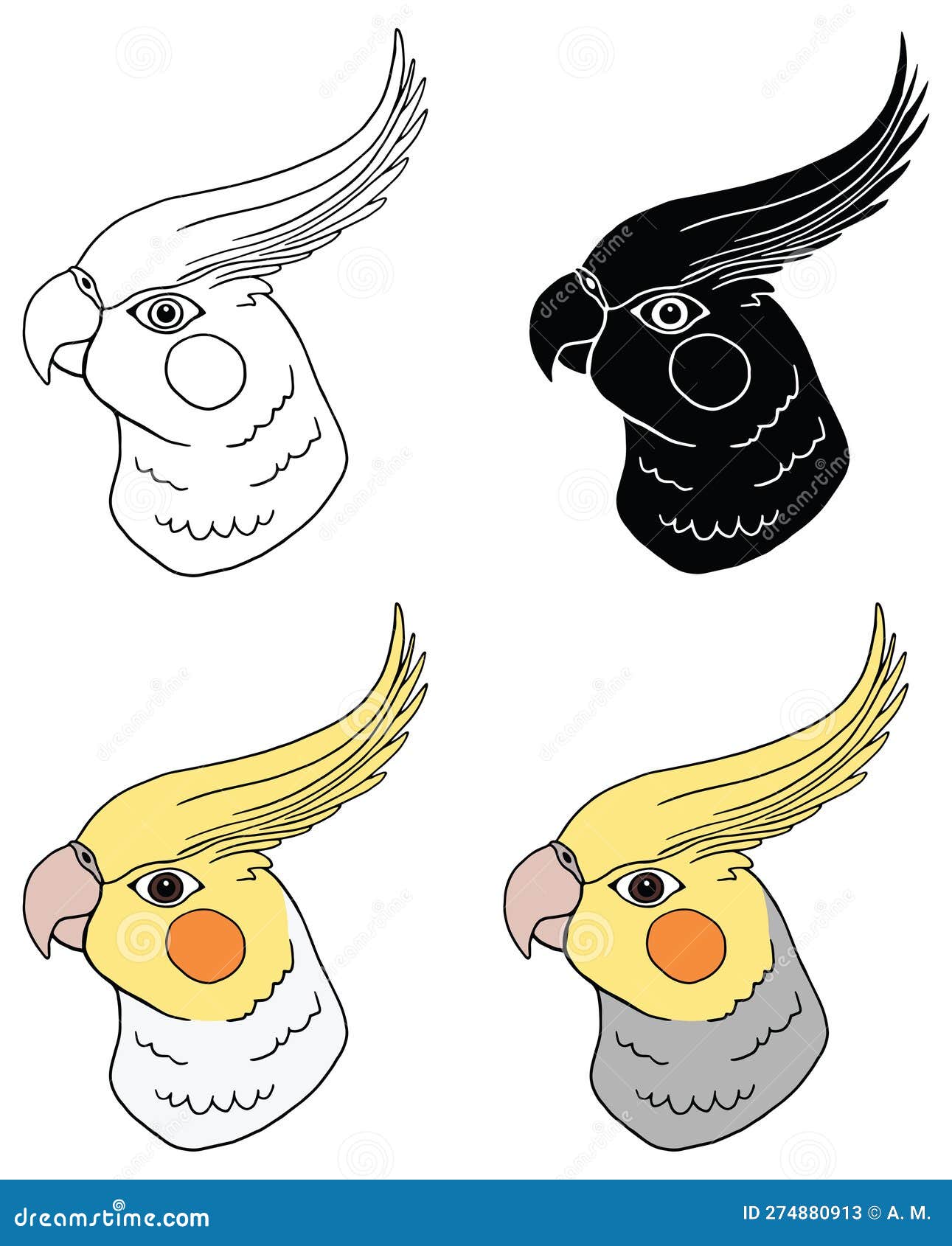 Cockatiel Pet Bird Head Clipart - Outline, Silhouette and Color Stock ...