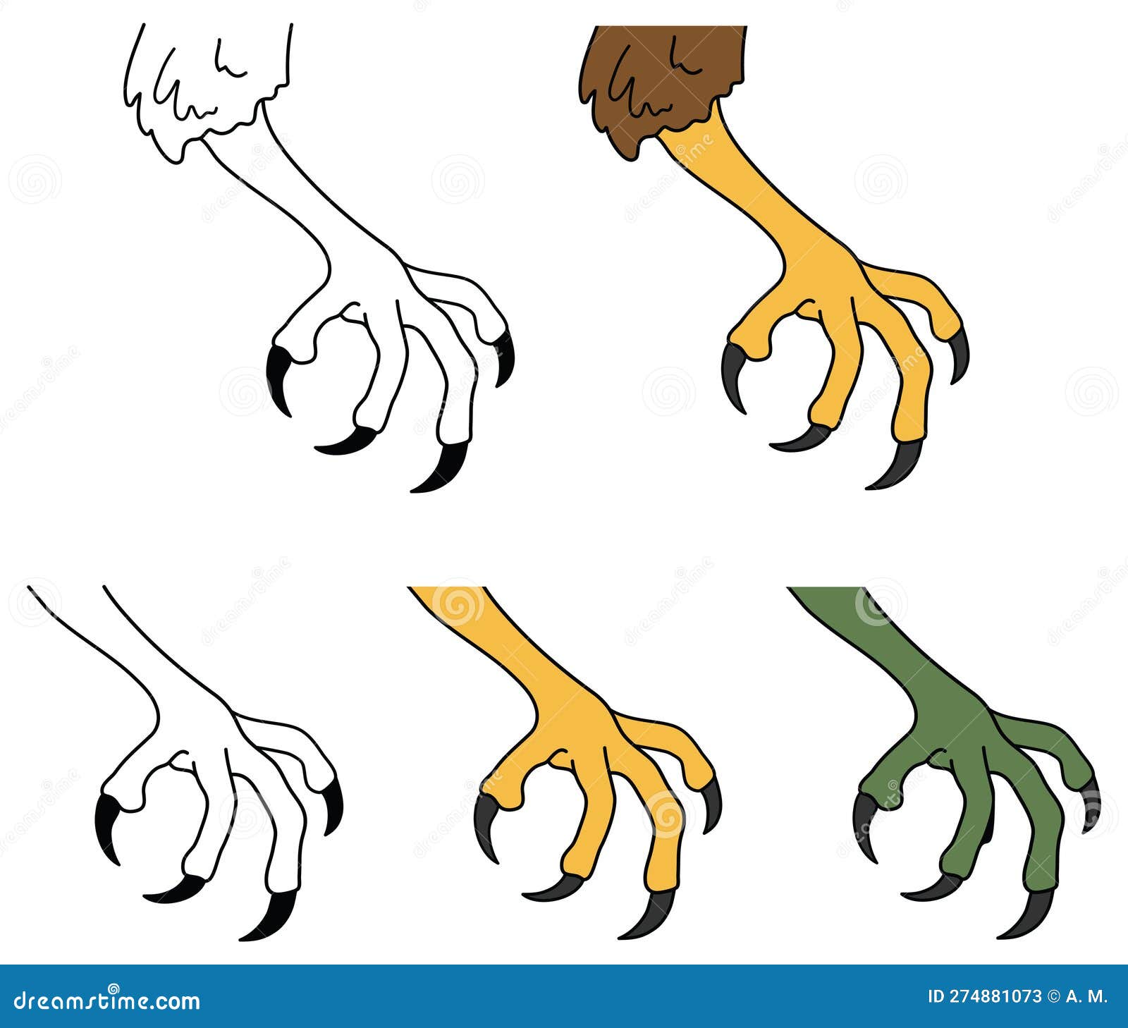 Talon Or Claw Clipart Set - Outline And Color Cartoon Vector ...