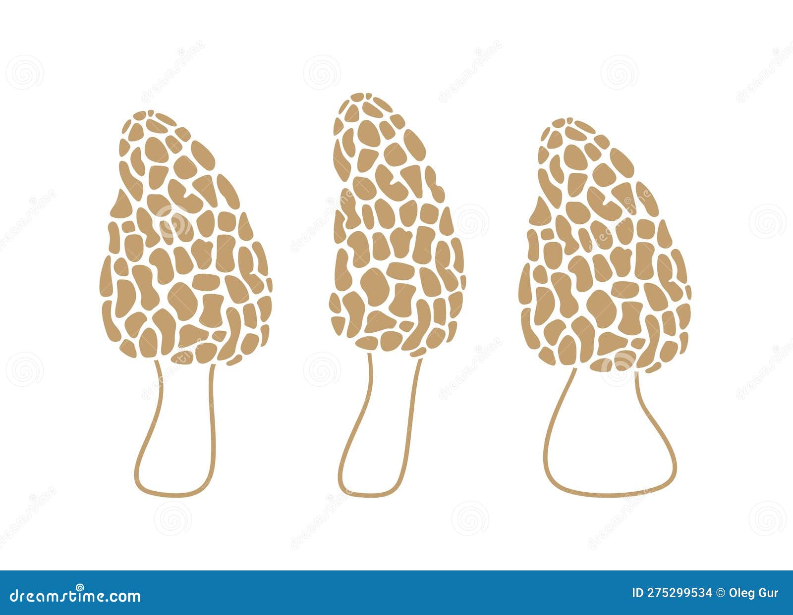 Morel Logo. Isolated Morel On White Background Vector Illustration ...