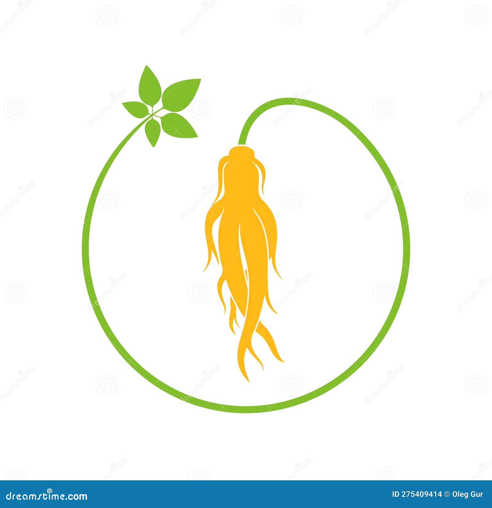 Ginseng Logo Design Template And Symbol Icon Cartoon Vector ...