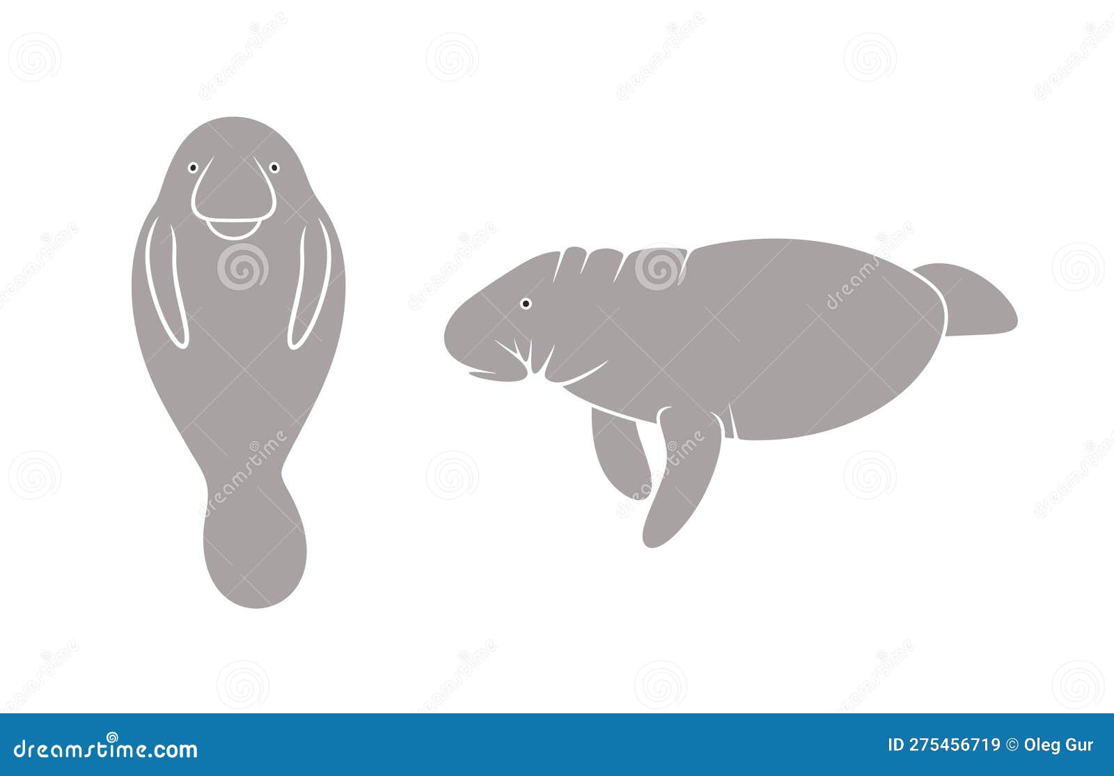 Manatee Logo. Isolated Manatee on White Background Stock Vector ...