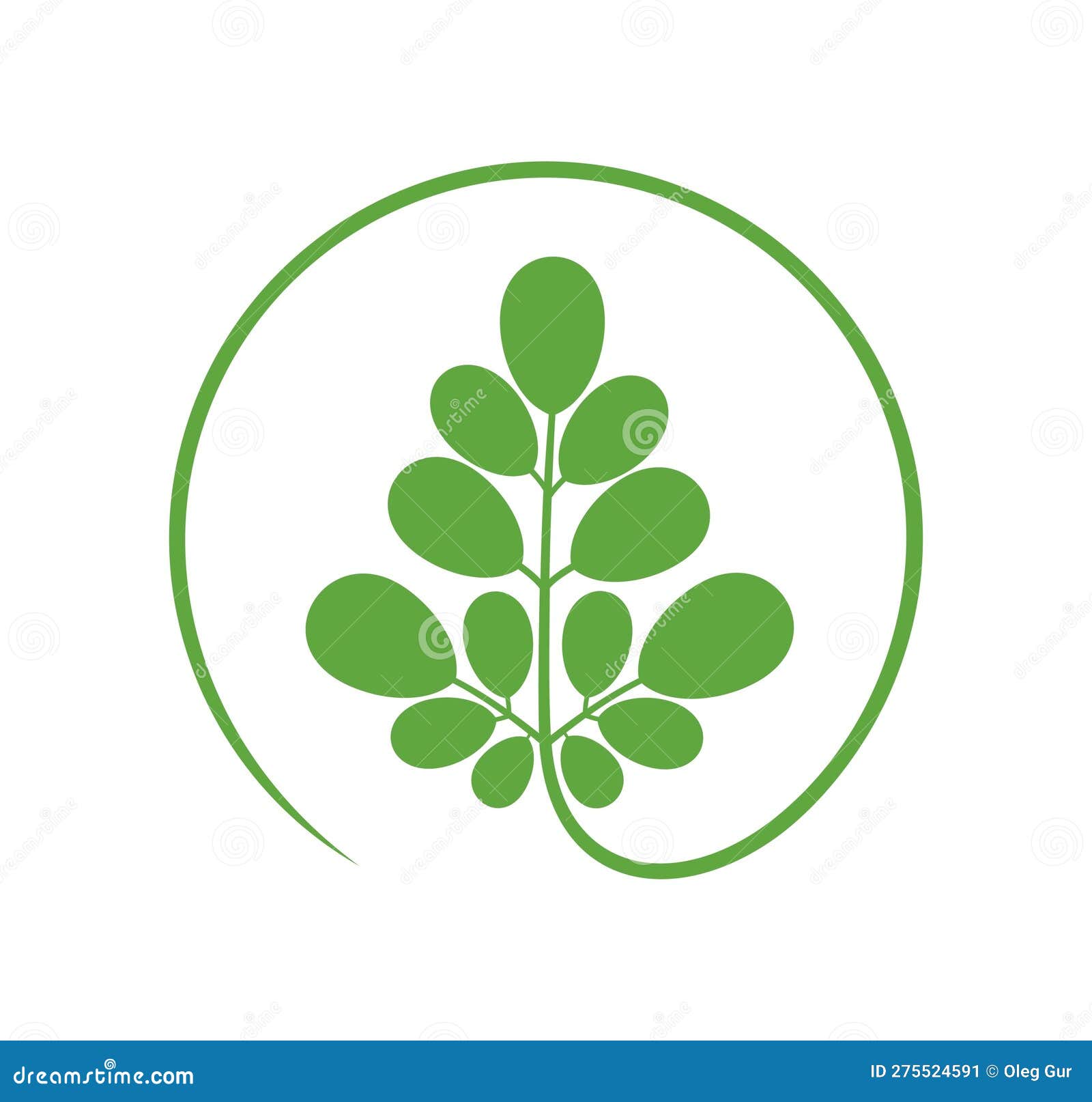 Moringa Logo. Isolated Moringa on White Background Stock Vector ...