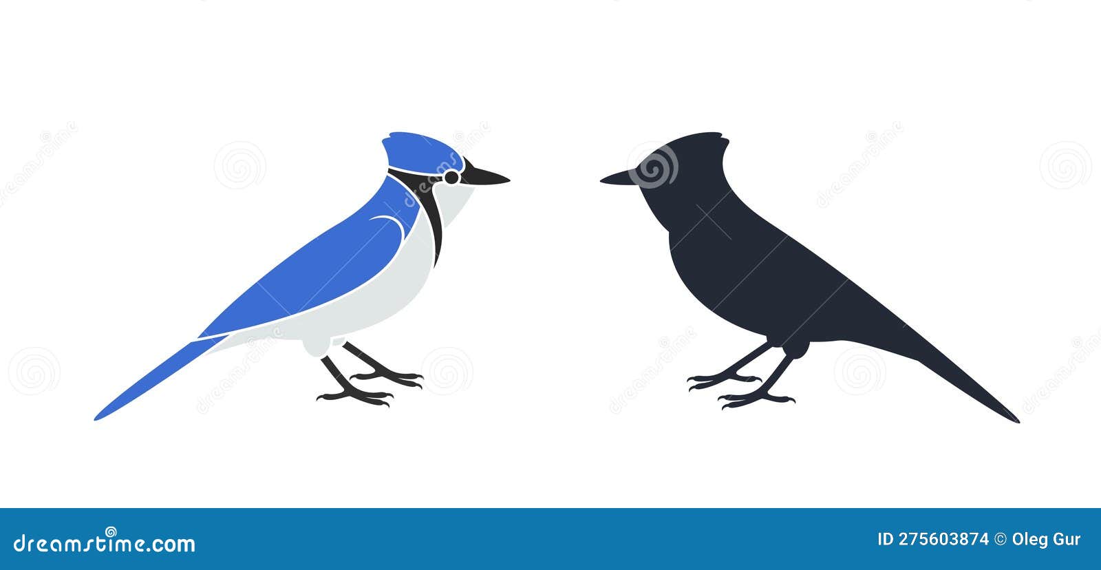 Blue Jay Logo. Isolated Blue Jay on White Background Stock Vector ...