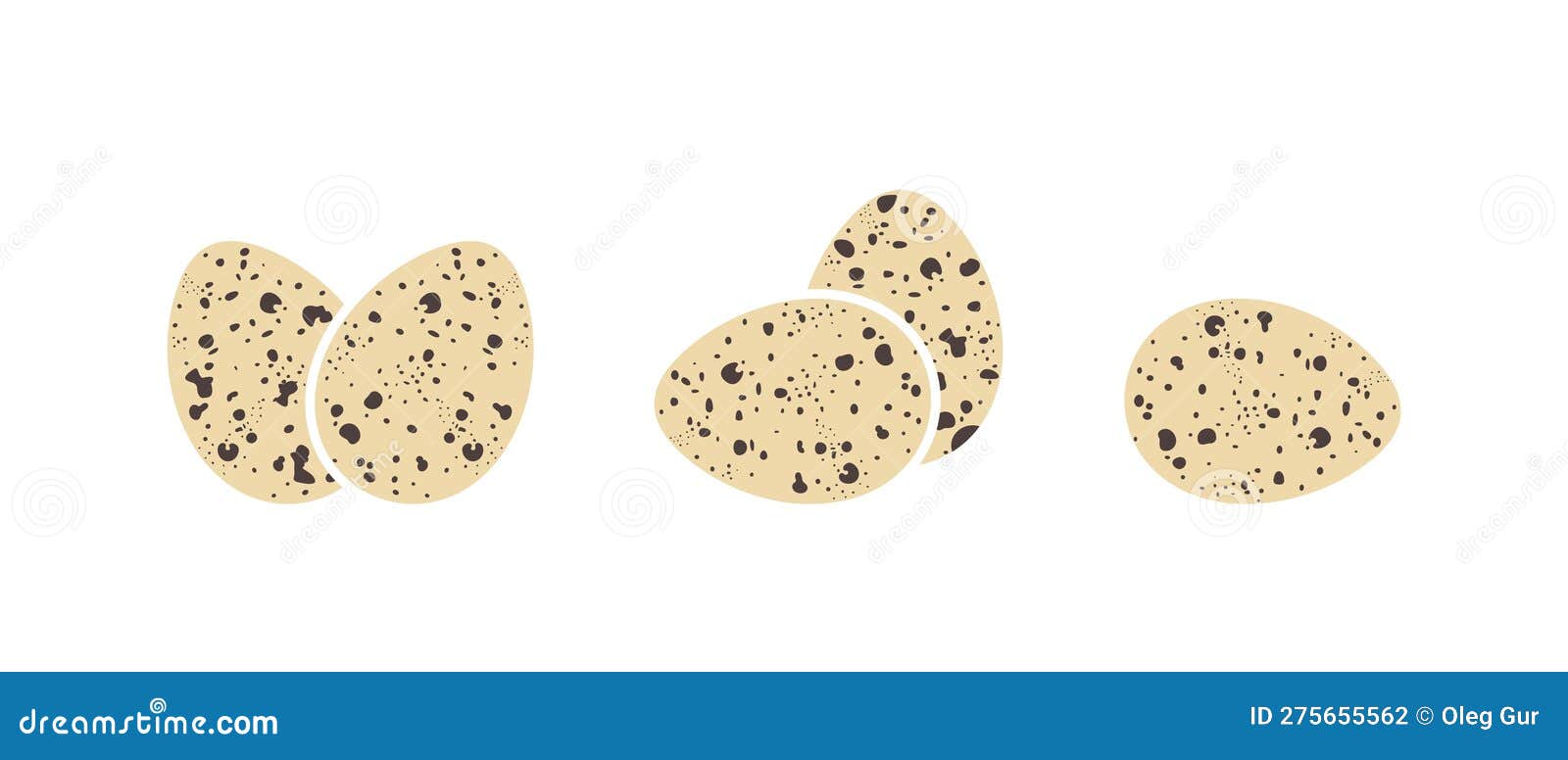 Quail Cartoon Vector | CartoonDealer.com #30838743