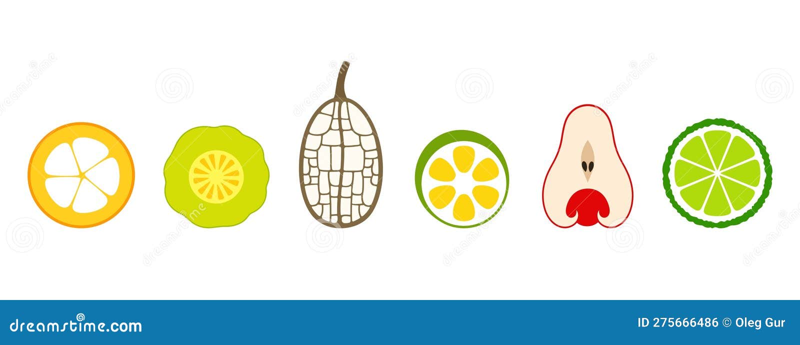 Santol Logo. Isolated Santol On White Background Cartoon Vector ...