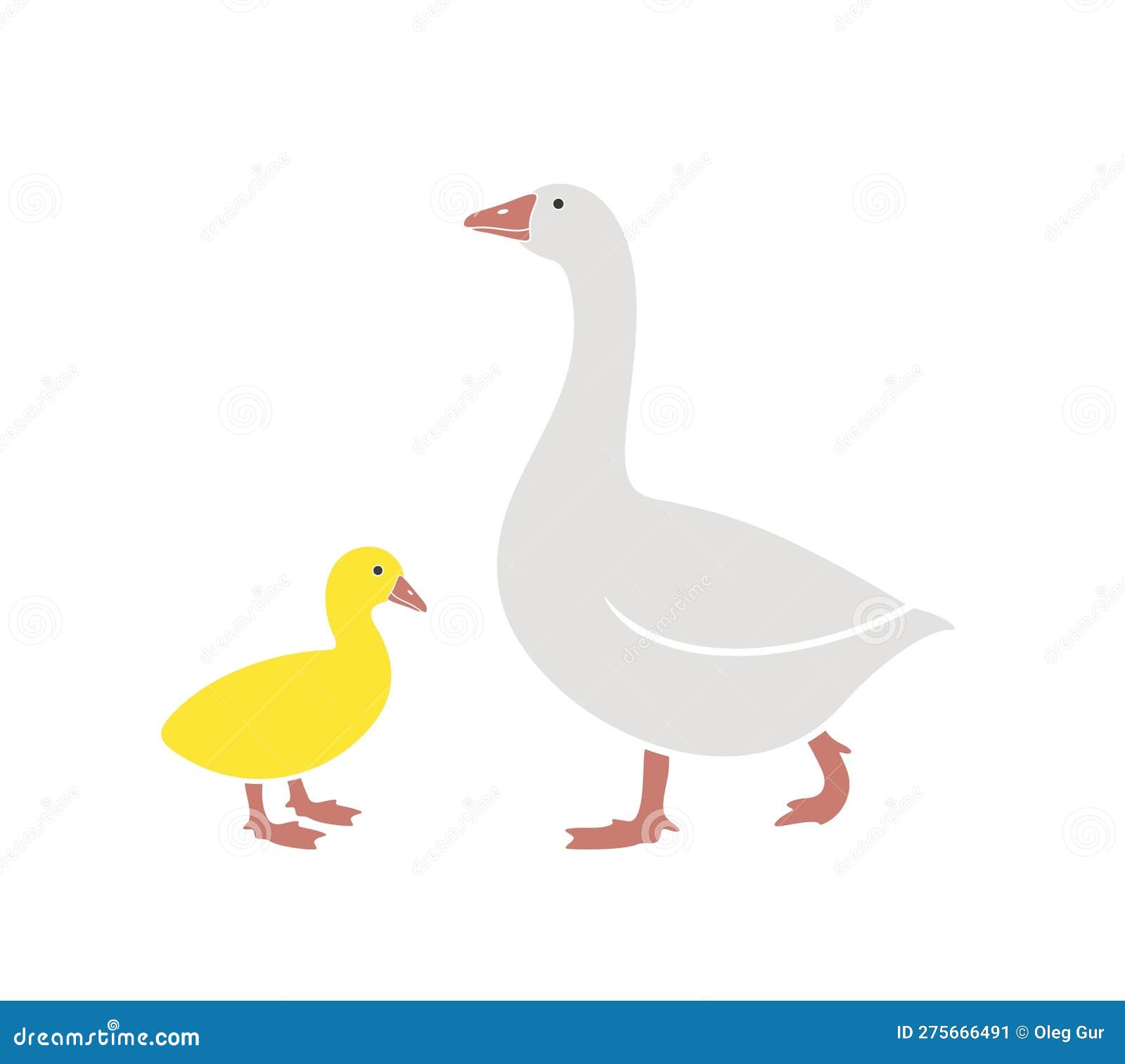 Gosling Logo. Isolated Gosling On White Background. Bird Cartoon Vector ...