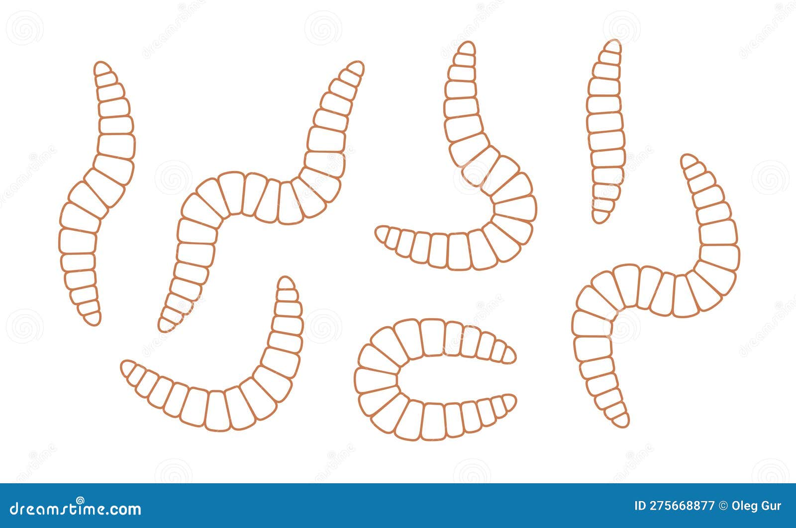 Earthworm Outline. Isolated Earthworm on White Background Stock Vector ...