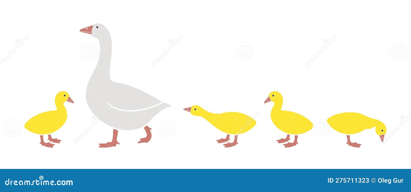 Gosling Logo. Isolated Gosling On White Background. Bird Cartoon Vector ...