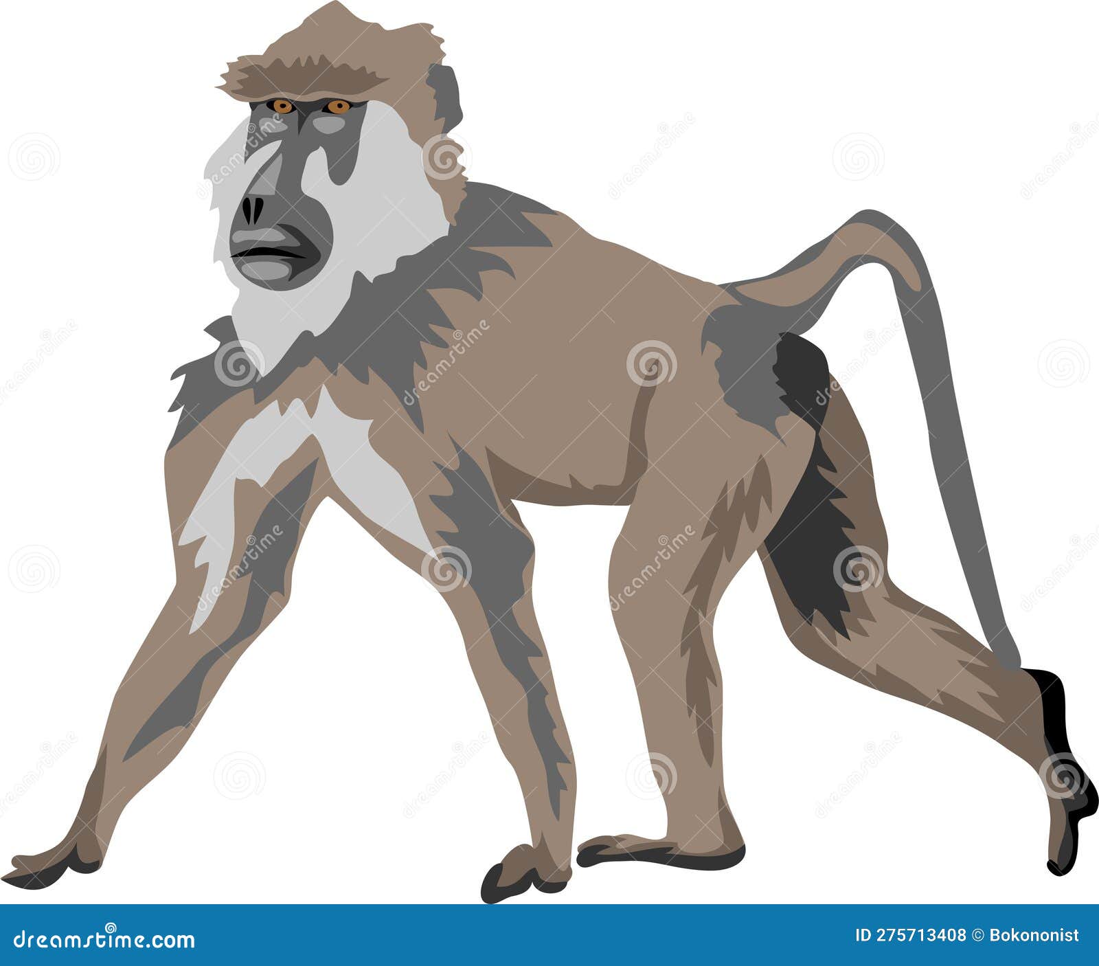 Baboon vector stock vector. Illustration of papio, monkey - 275713408