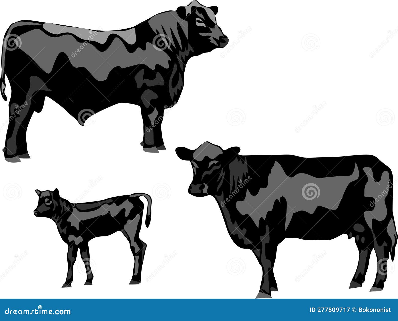 Black Angus Logo Design Template Silhouette . Cow Farm Logo . Angus Cow ...