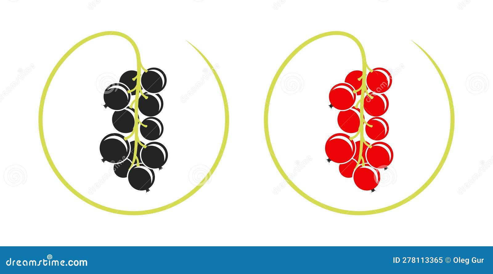 Red Currant Logo. Black Currant Stock Vector - Illustration of berry ...